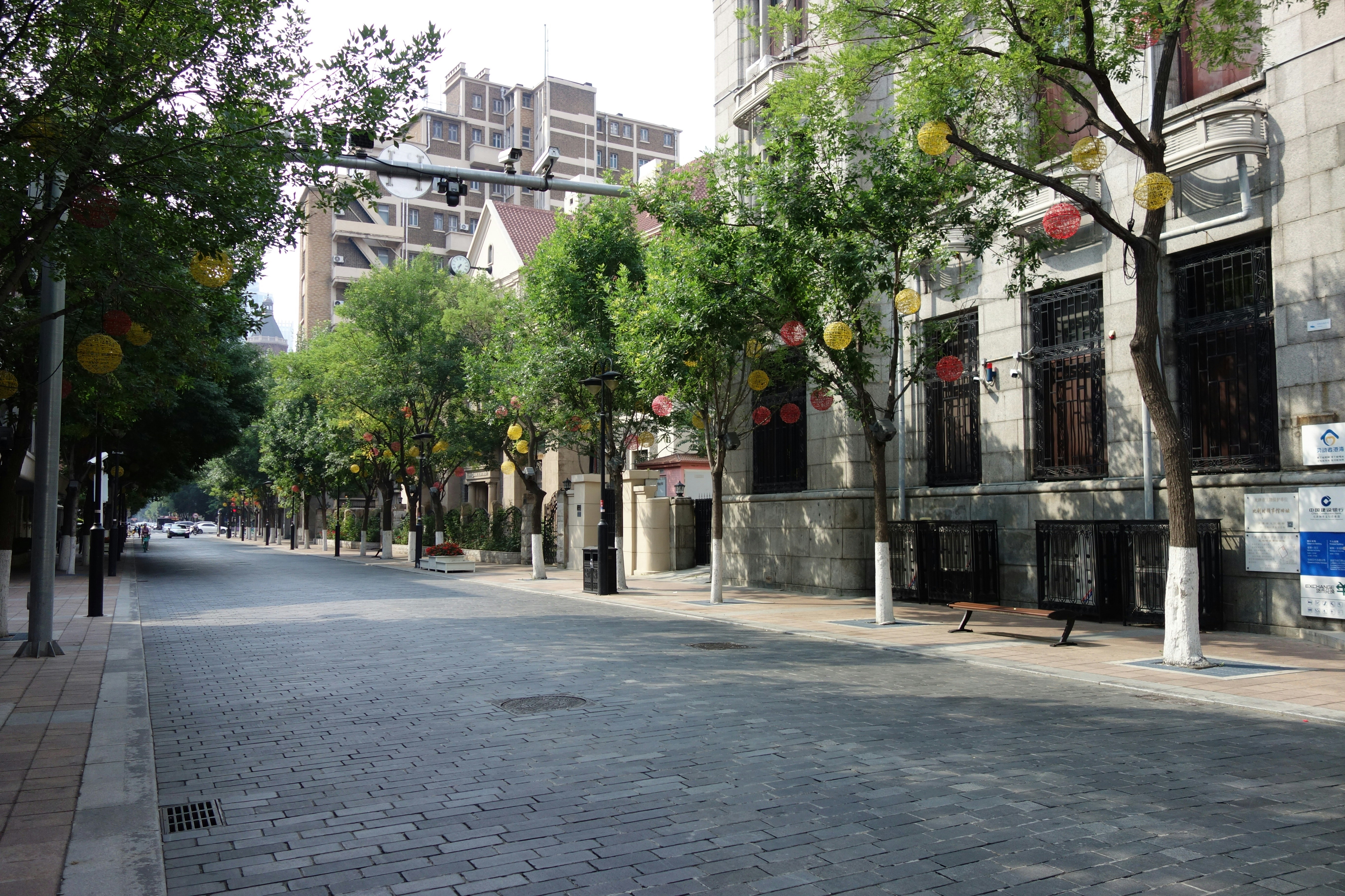 Quiet urban avenue lined with trees and lanterns at dusk