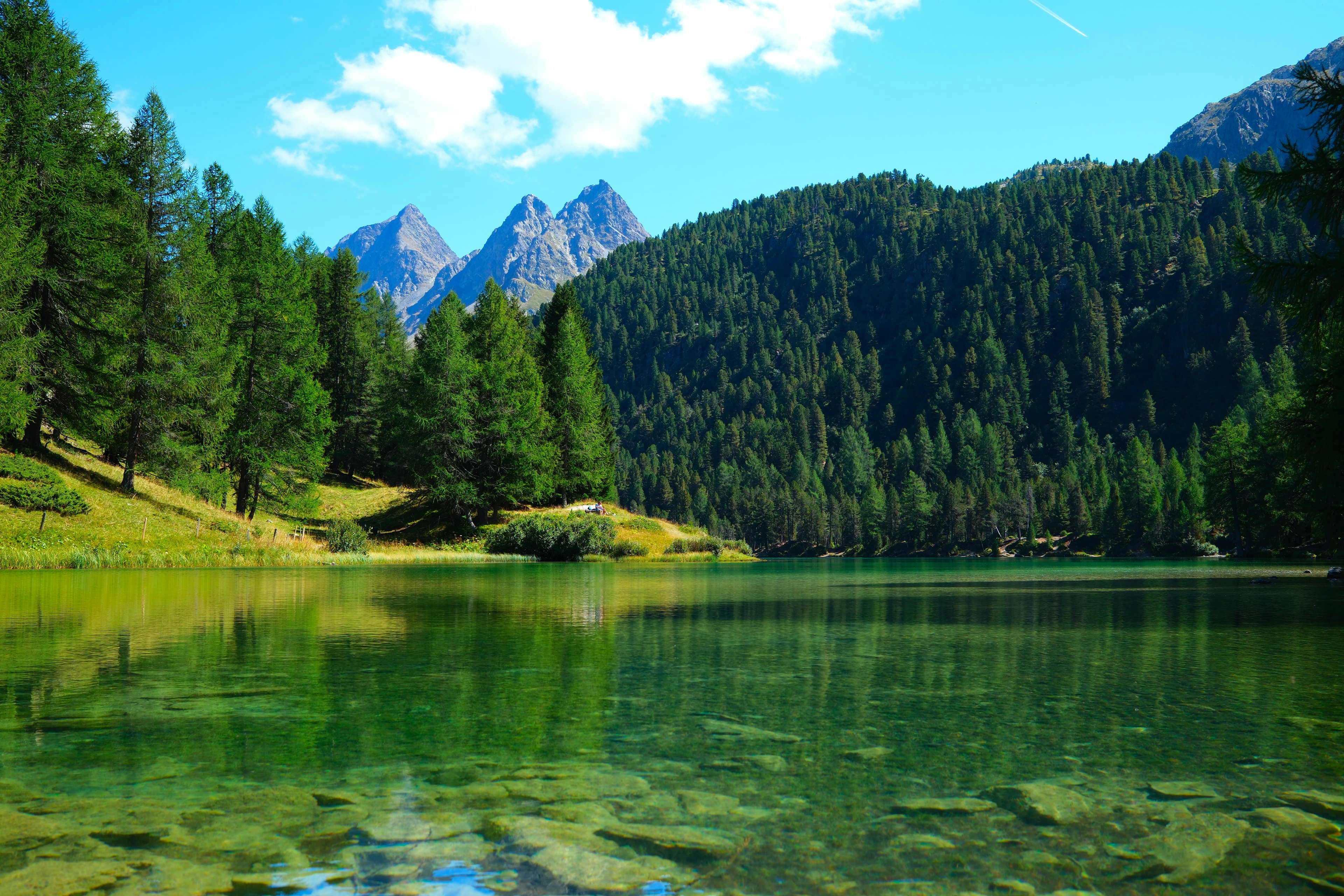 Crystal-clear alpine lake with evergreen forest and distant mountain peaks, inviting a tranquil landscape study. A high-saturation capture emphasizing emerald water and bright sky.