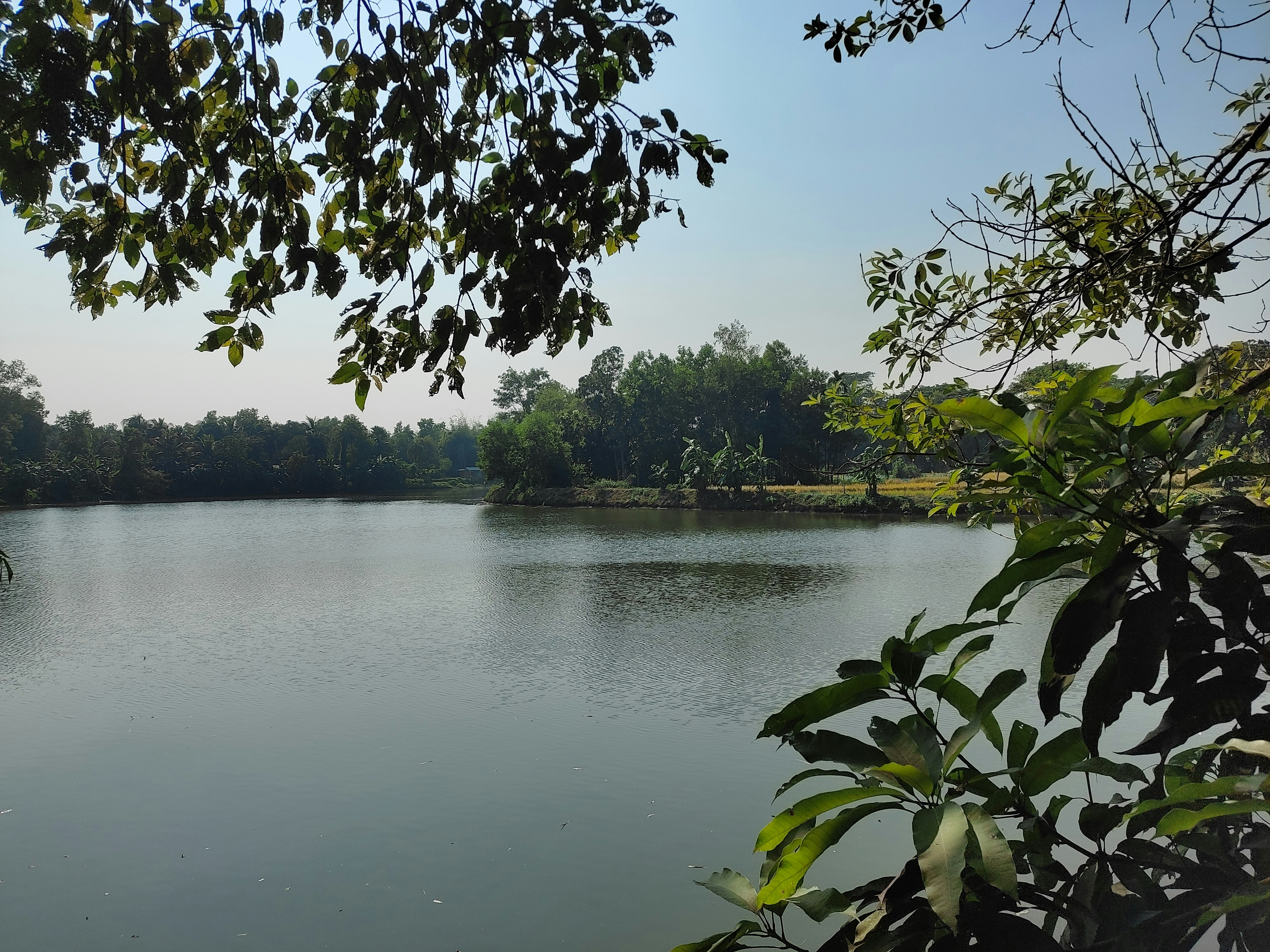 A Lake
