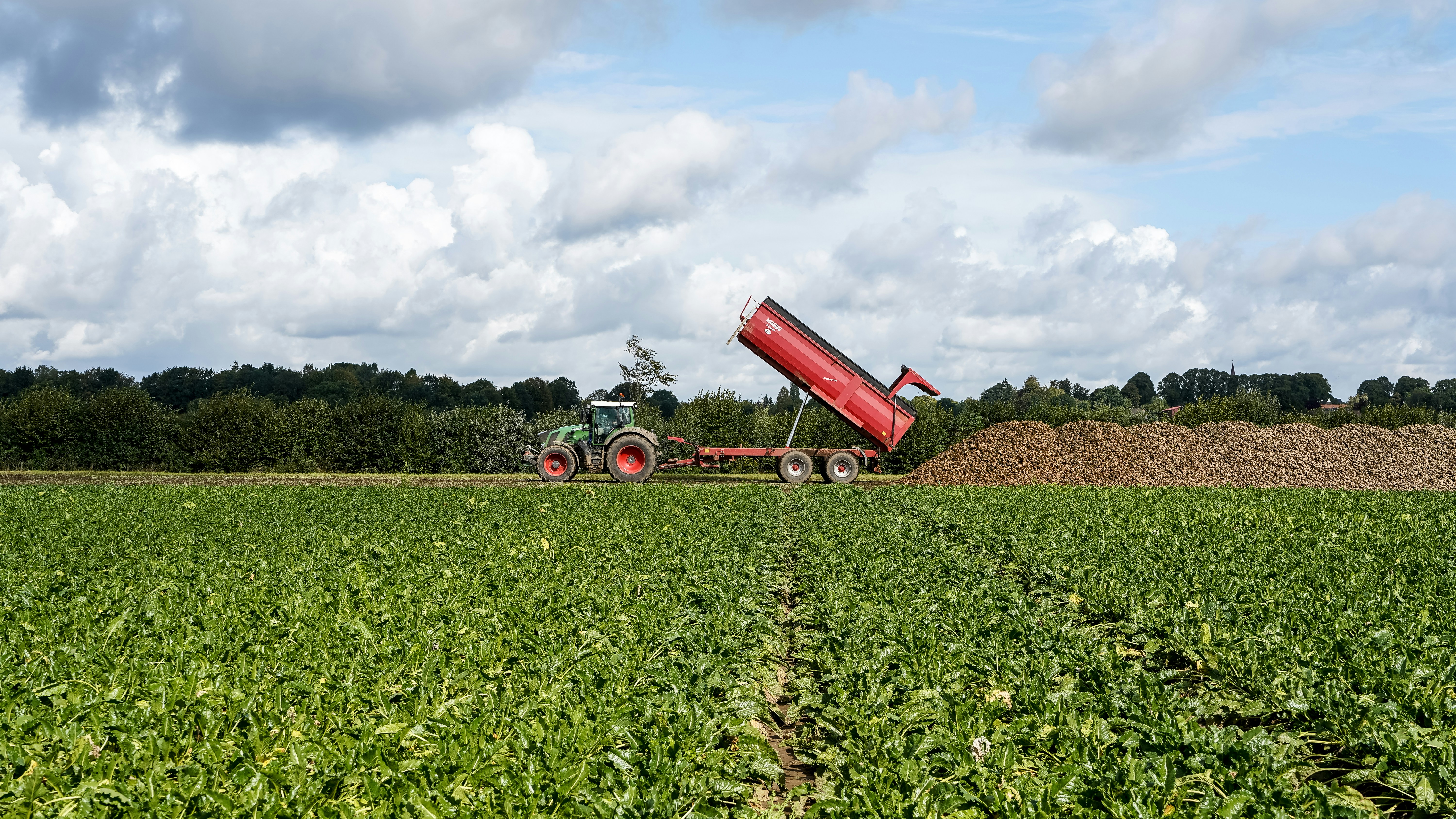 Tow-Loaded Tiller at the Horizon