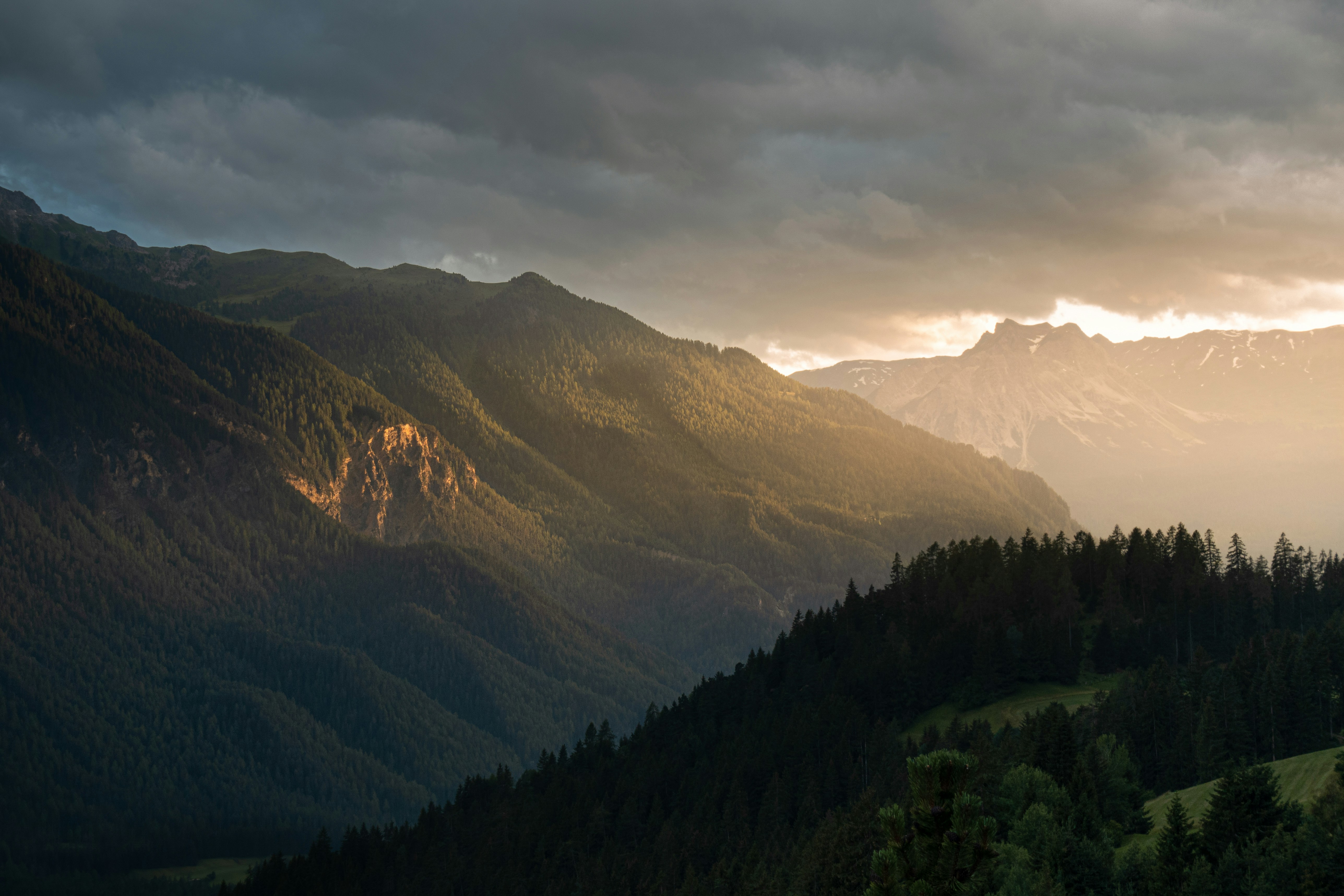 Golden Crest: Sunlit Ridge Over Quiet Pines
