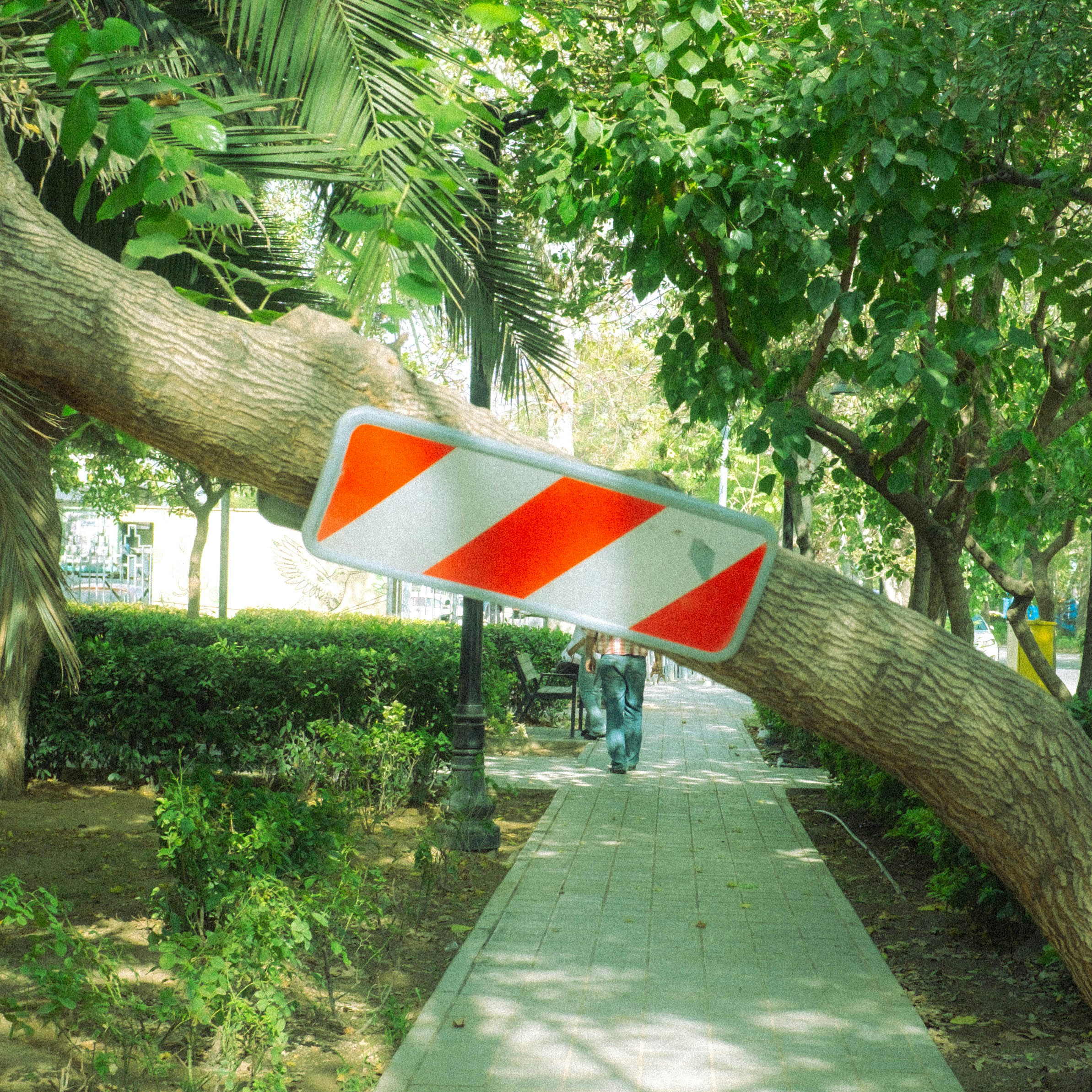 Leaning Barrier: A Wooden Street Scene Presses Through the Park