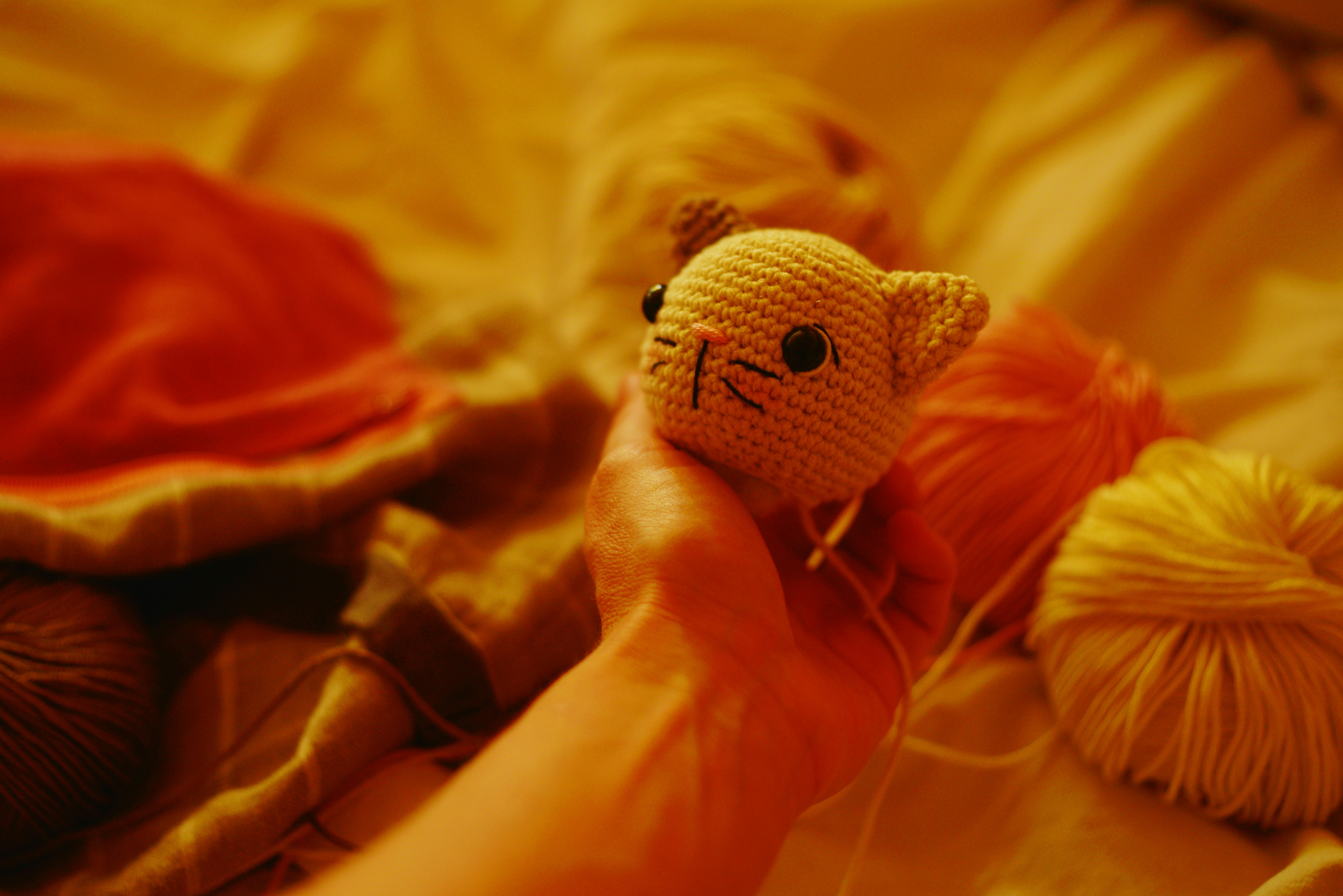 Tiny Knit Cat Clutch: A Handheld Moment Amid Warm Yarn