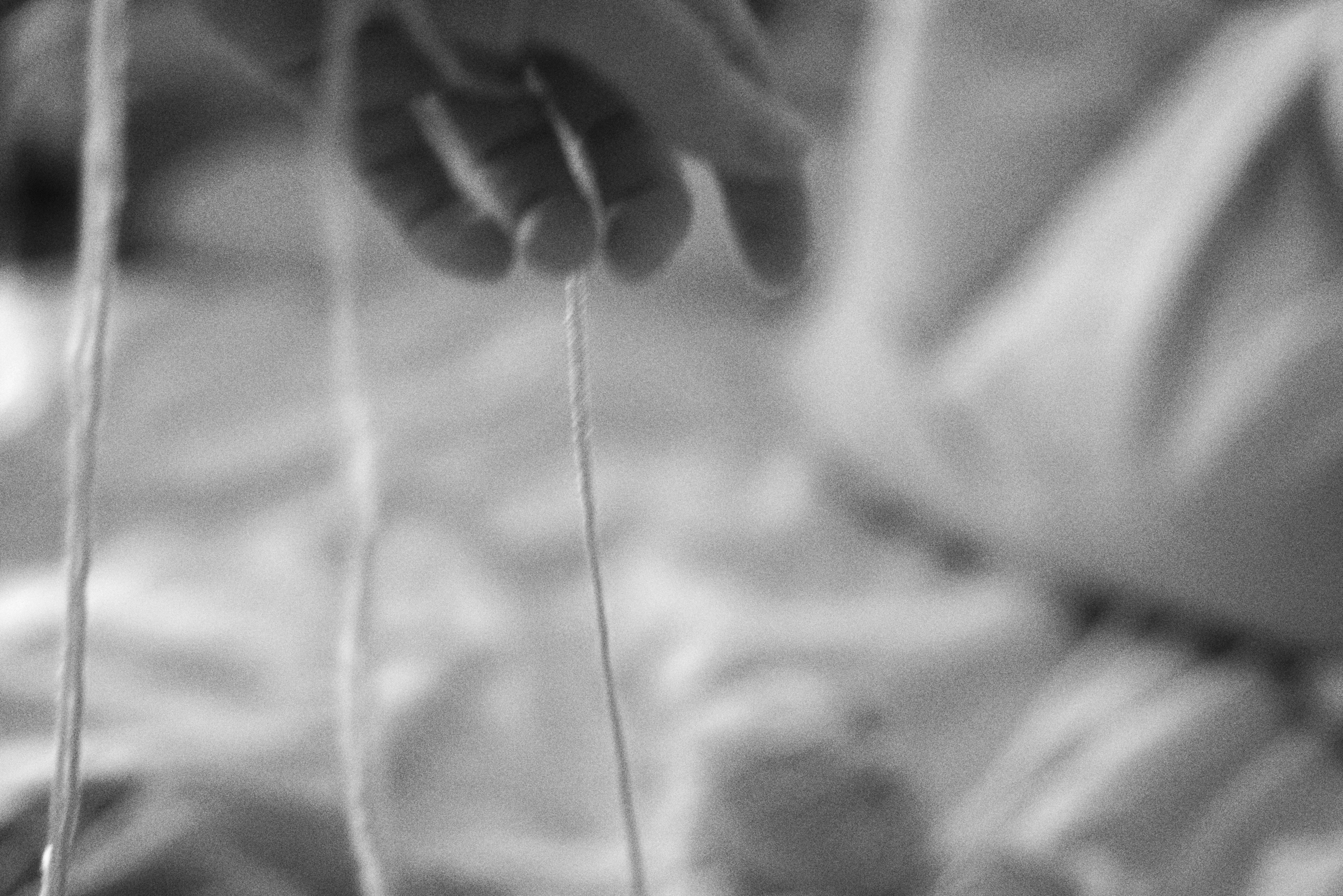 Threads and Tension: A Quiet Moment in Monochrome String