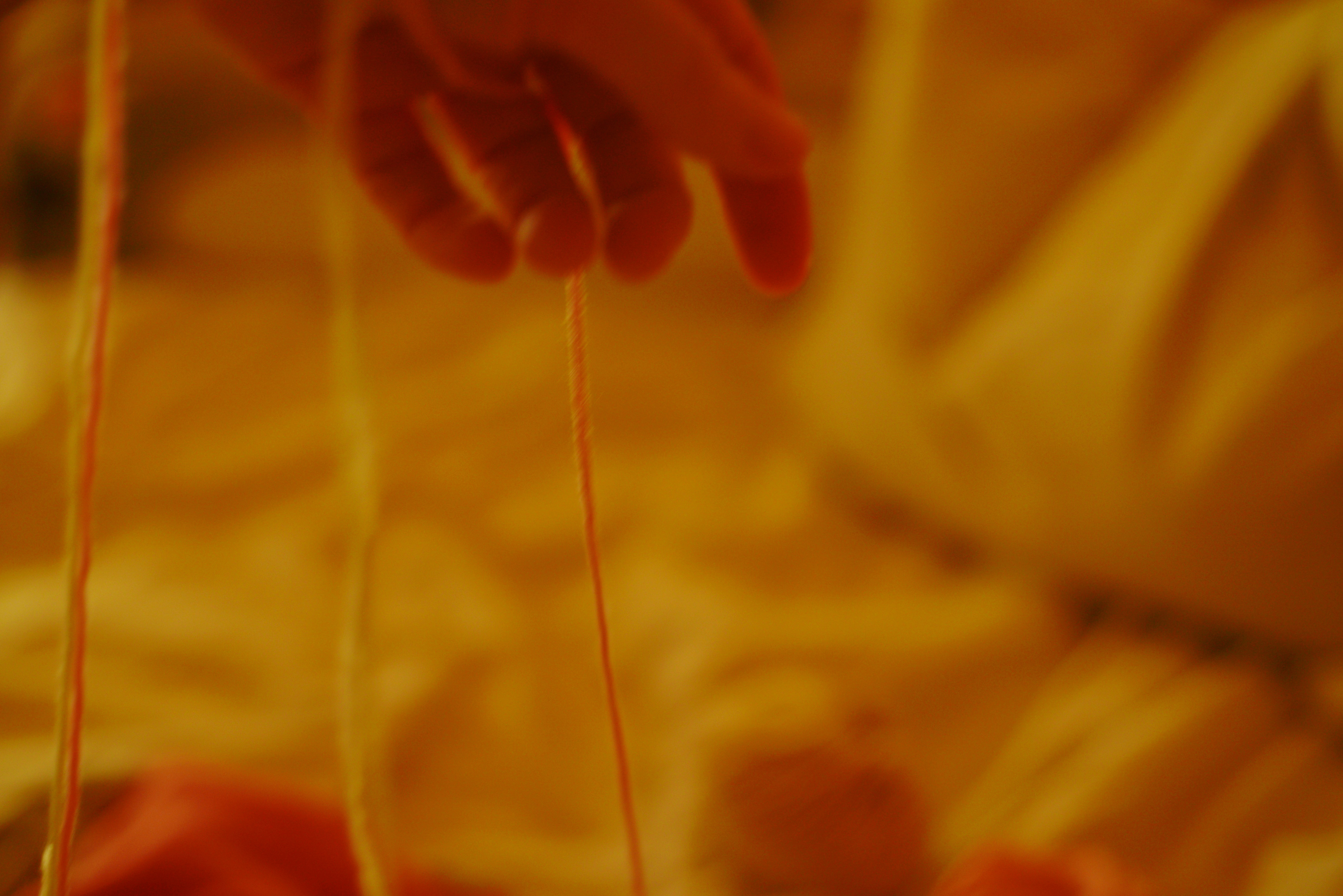 Threads of Light: A Close-Up of Orange Strings in Soft Focus