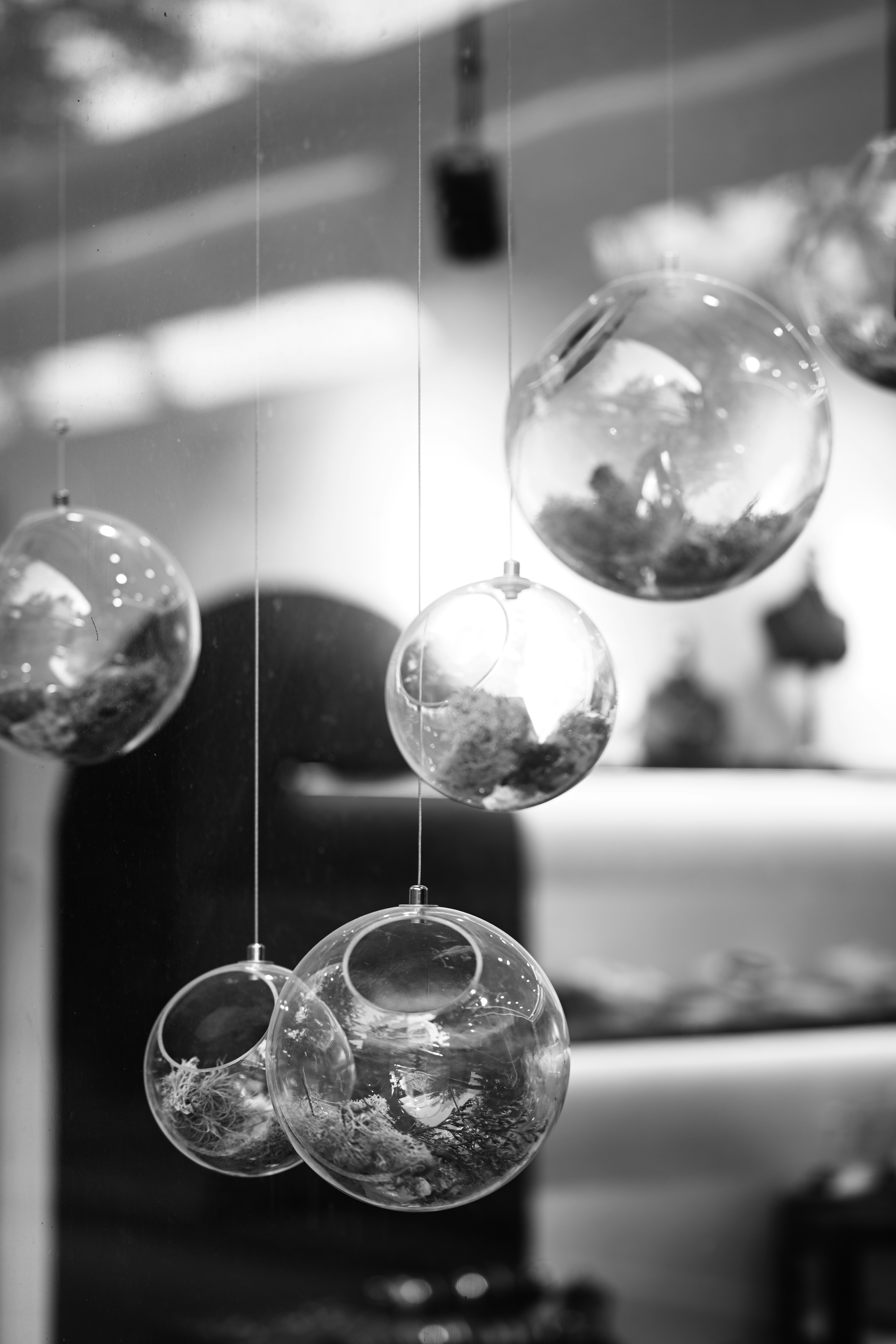 Glass Orbs in Motion: Hanging Spheres in Soft Bistro Light