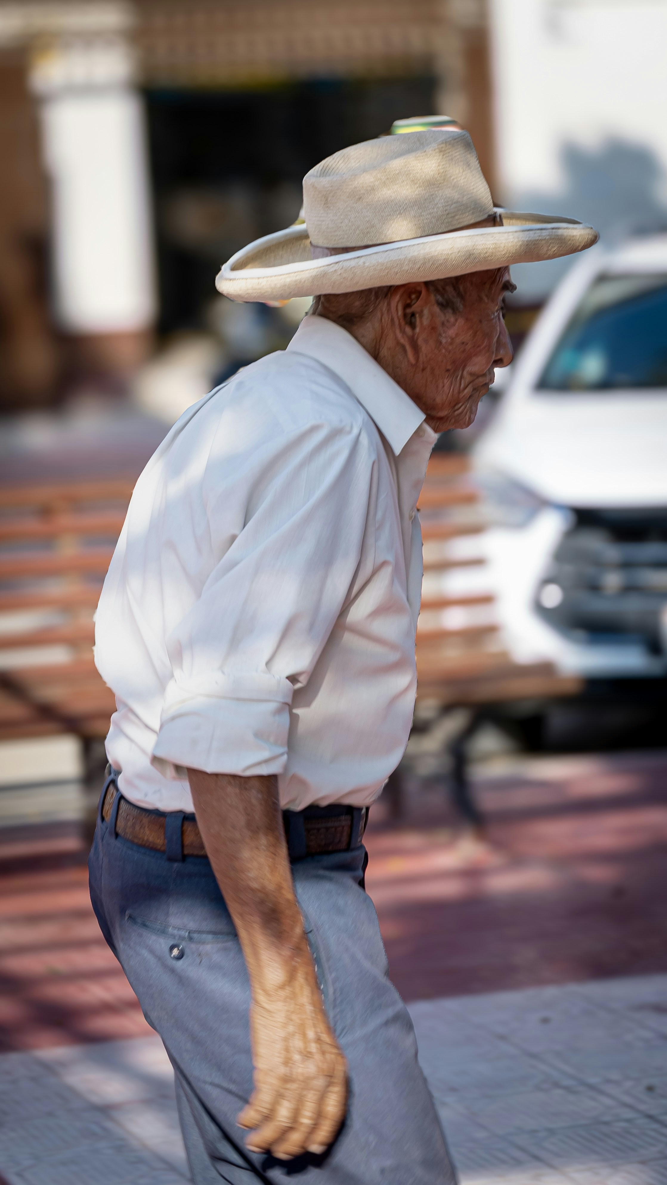 The Elder in Profile: A Quiet Stride Through the Circle of Light