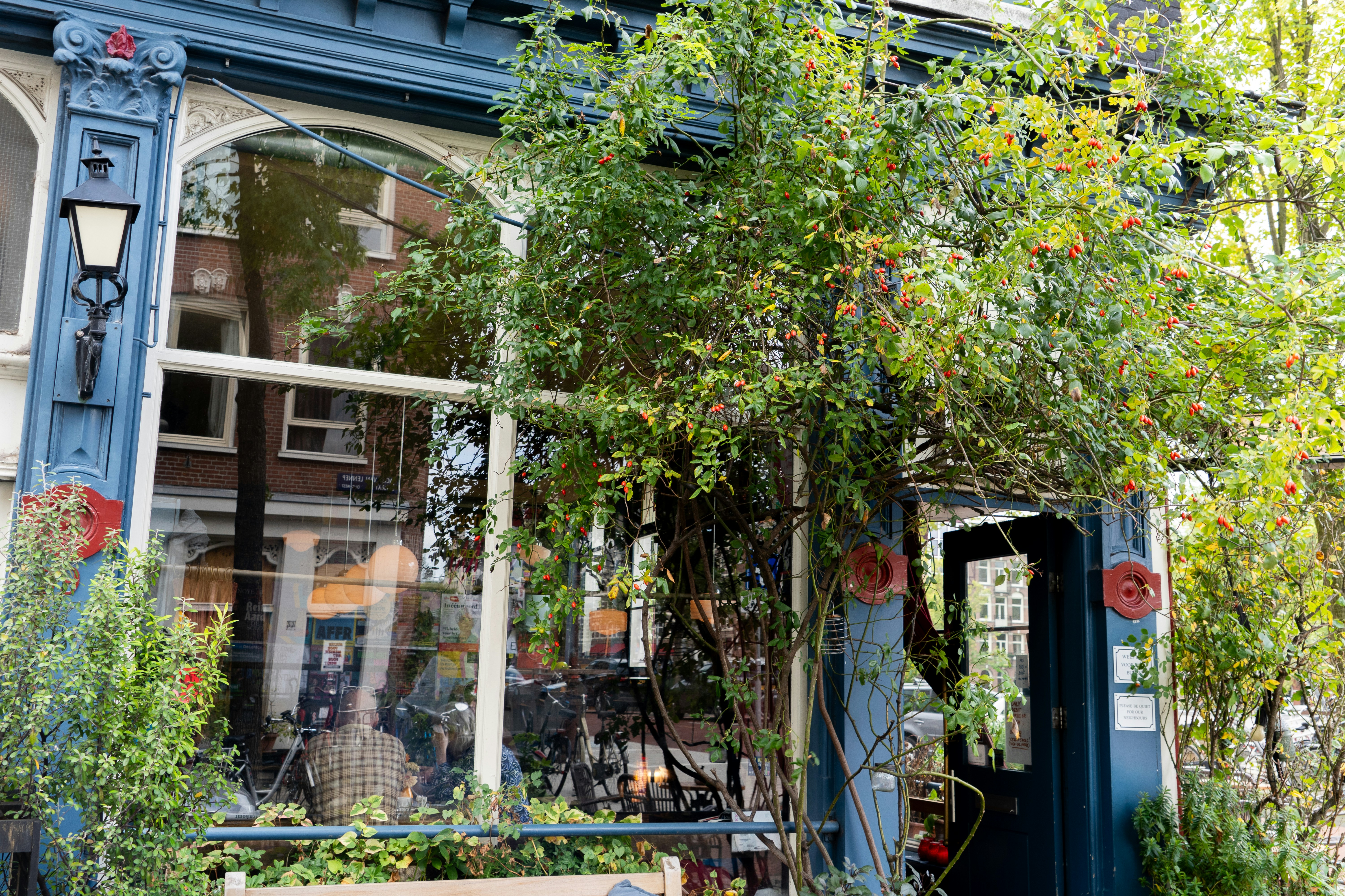Vines at the Blue Arch Café