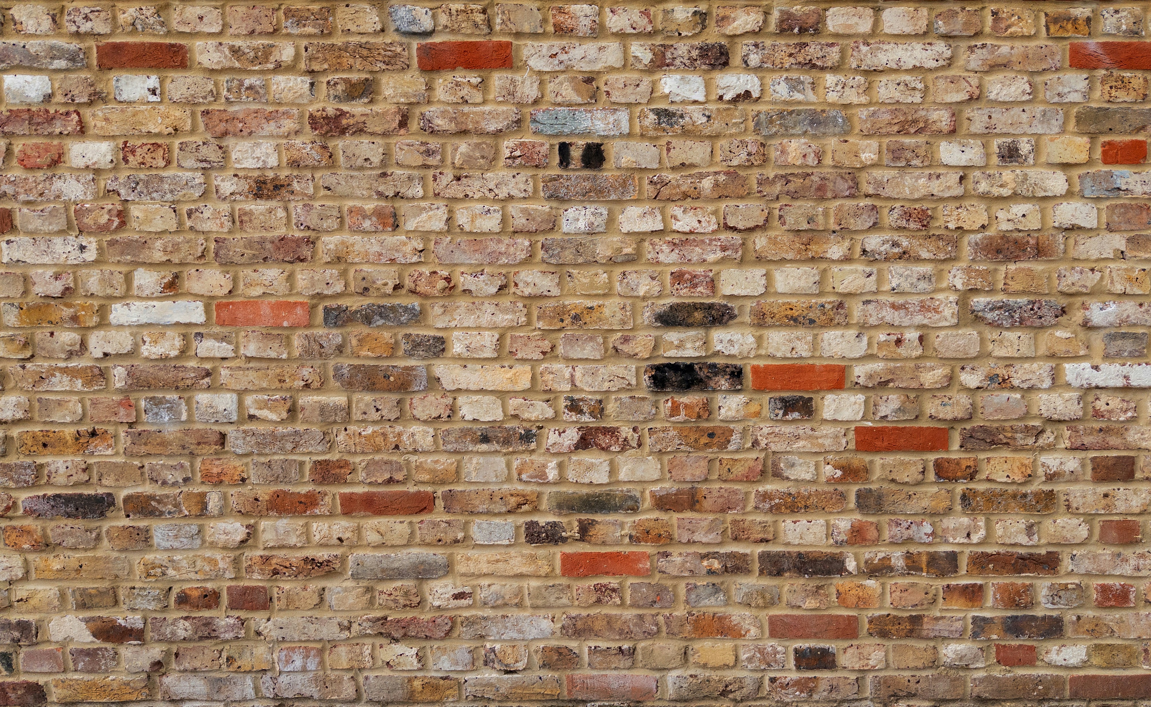 Weathered Brick Mosaic: A Quiet Study in Texture and Hue