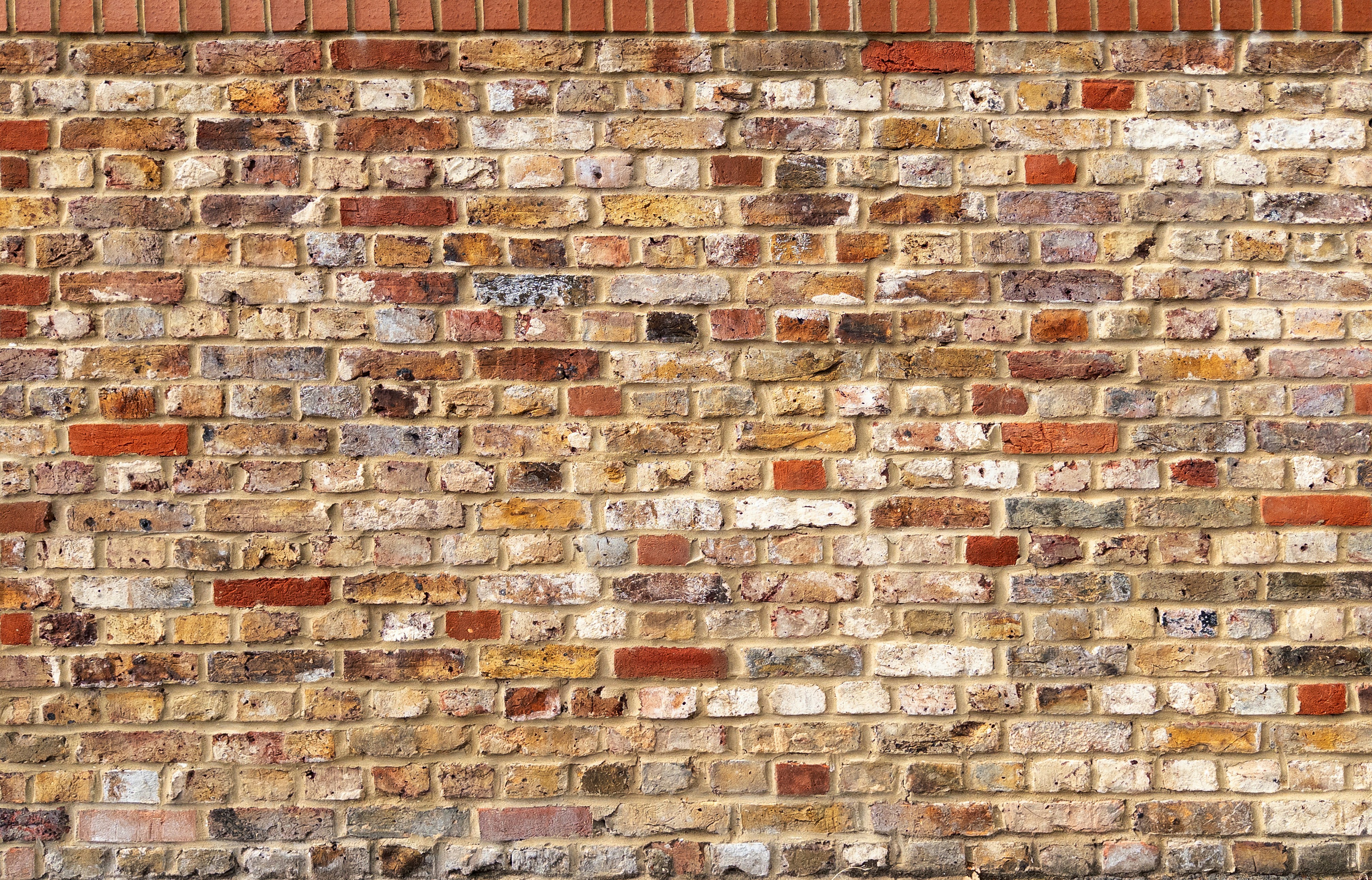 Weathered Brick Wall: A Quiet Tapestry of Time and Color