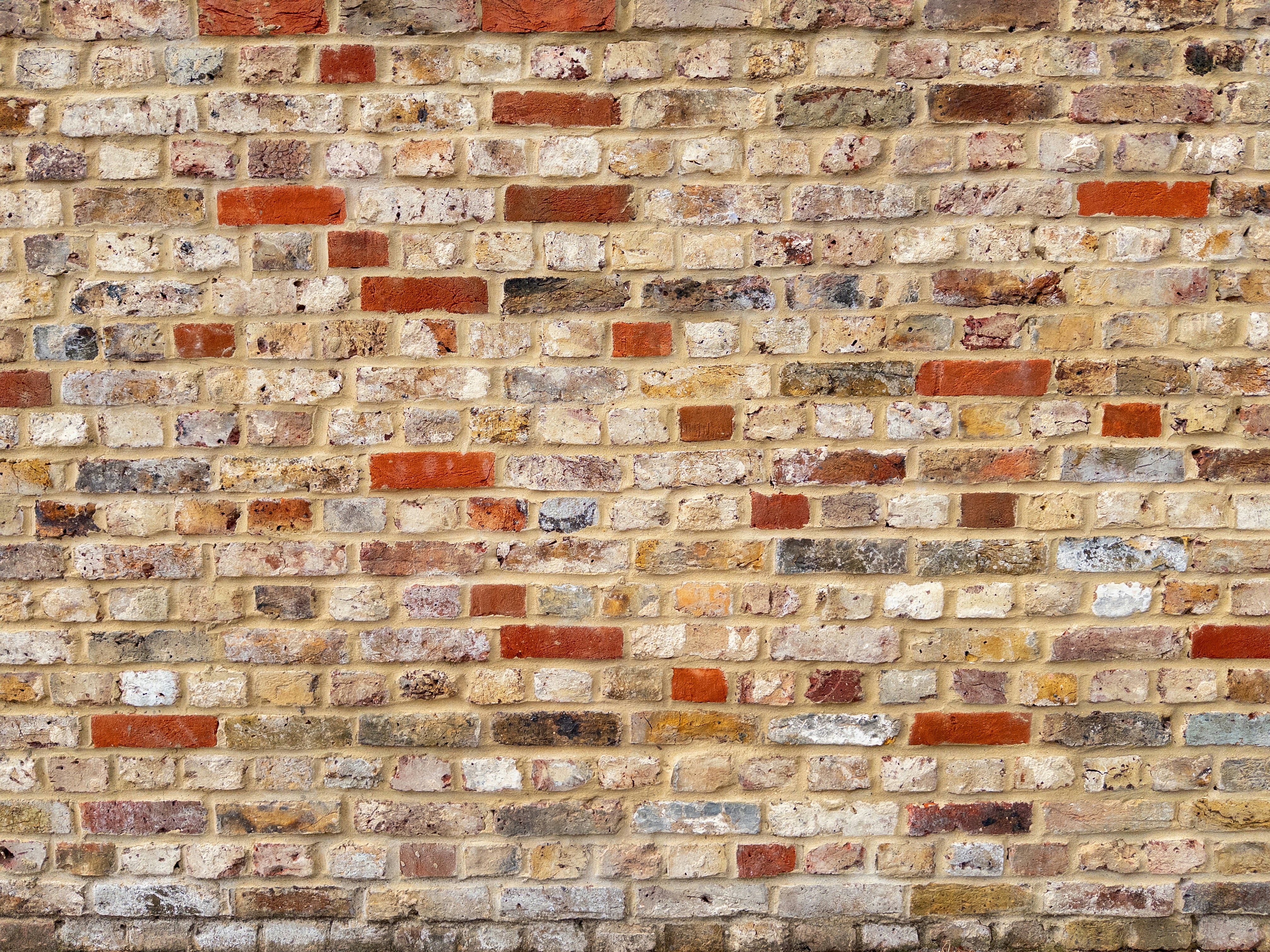 Brick-by-Brick: A Quiet Mosaic of Weathered Hue
