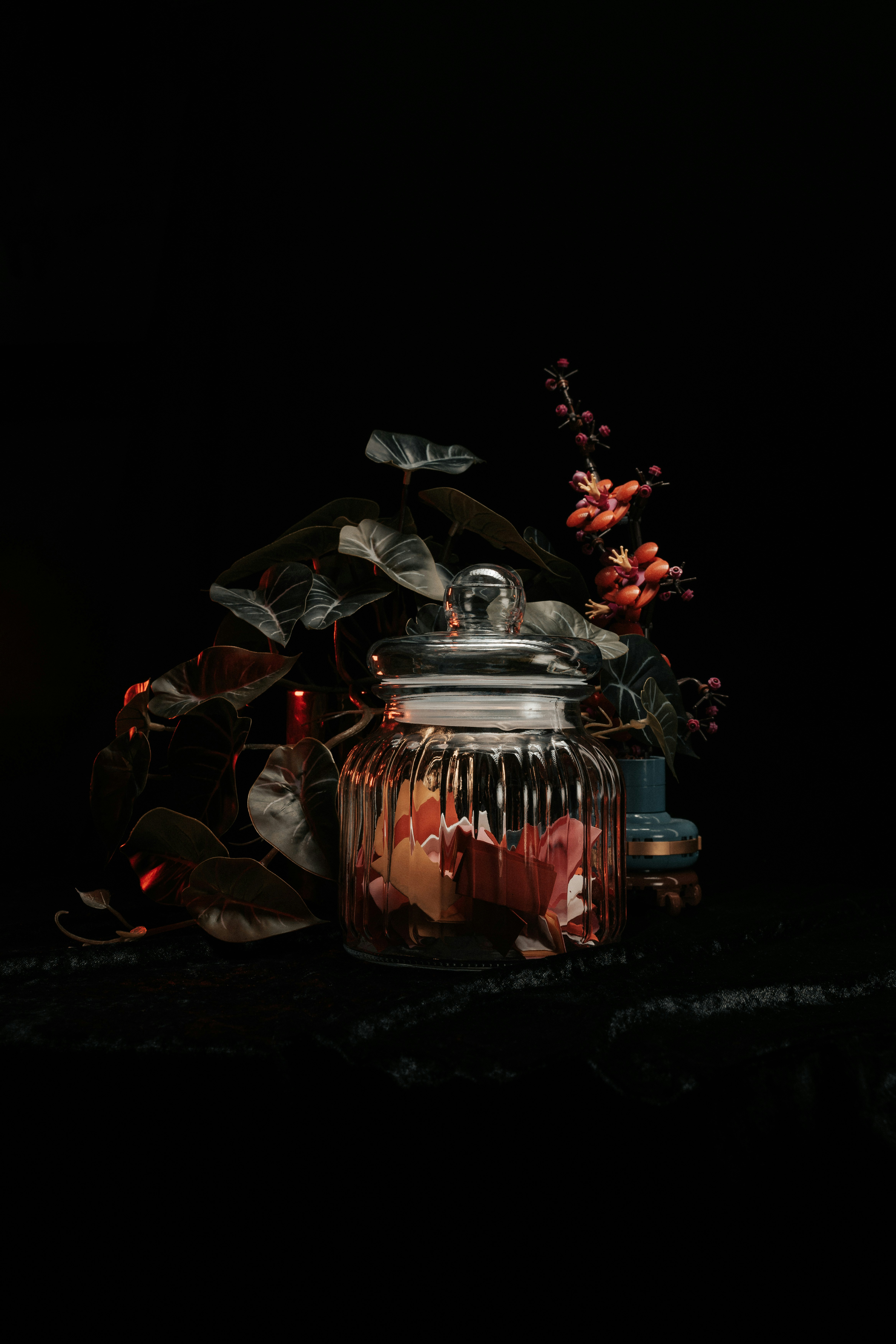 A glass jar with a scalloped lid sits amid dark foliage and a hint of colorful blooms; the arrangement rests on a textured surface, creating a moody, studio-ready still life.