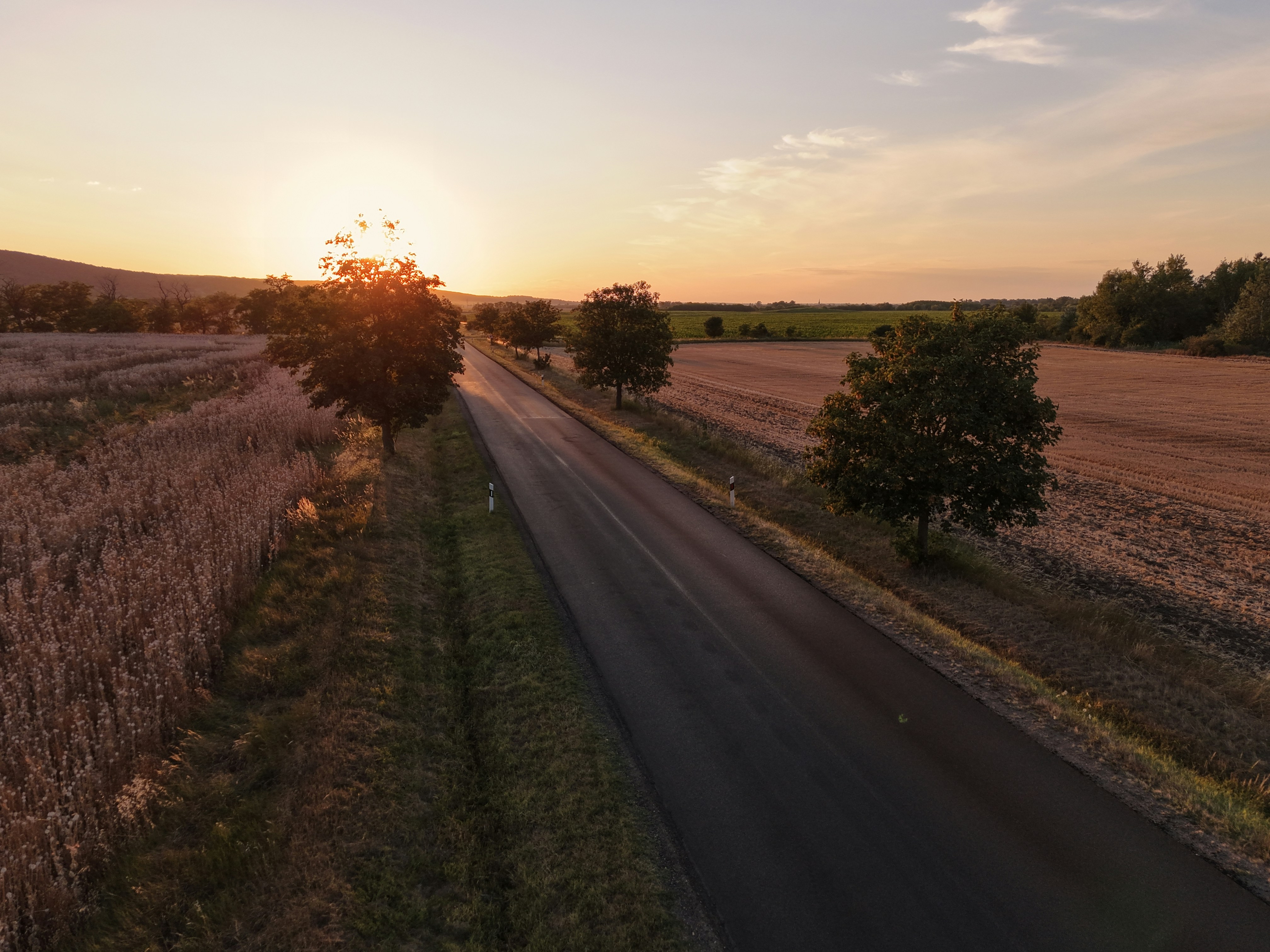 Sunlit Ave: A Quiet Horizon Presses Into the Golden Hour