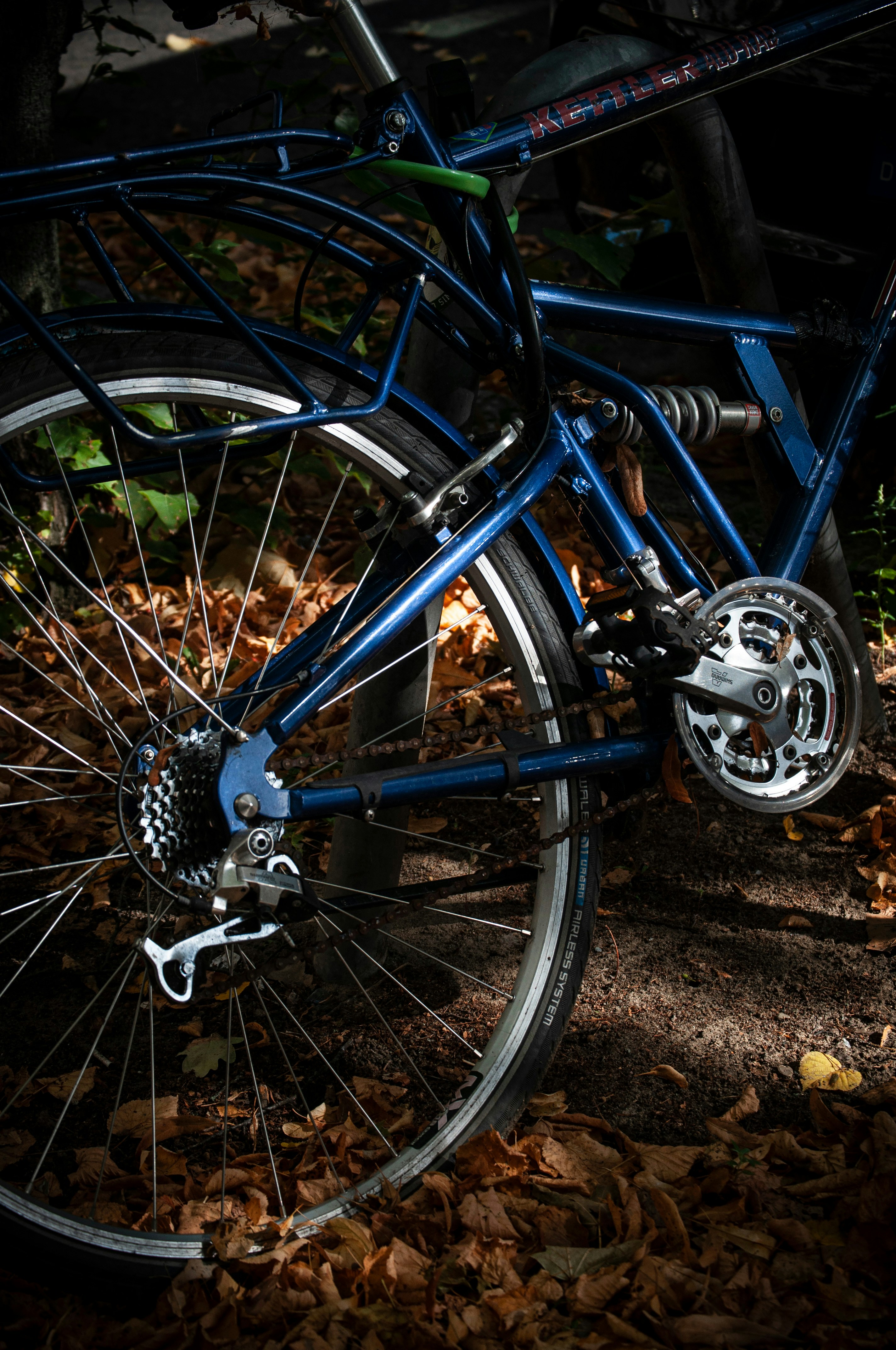 Close-up of a blue bicycle resting on a leaf-strewn ground, exposing the chain, gears, and rear wheel with natural lighting and autumn color. This is a photograph of a bicycle, not a painting or illustration.