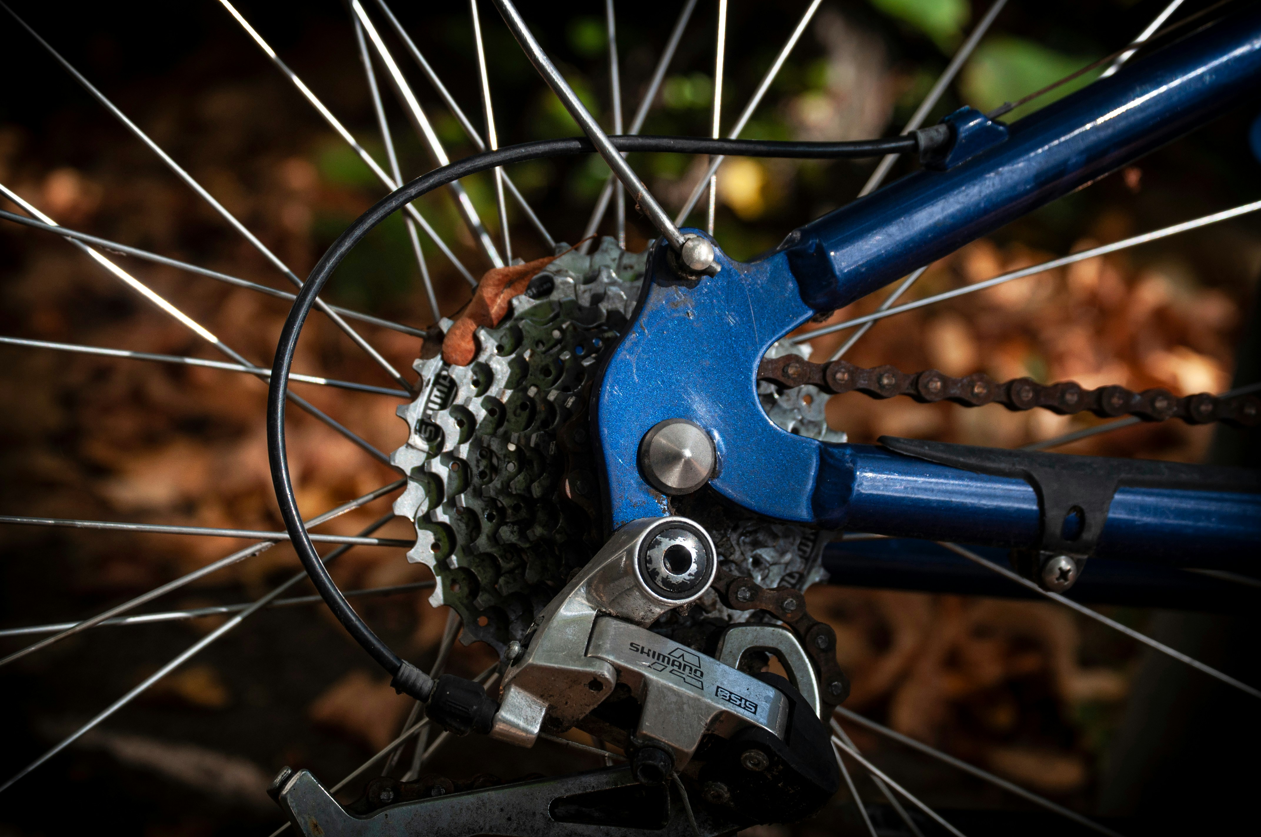 Close-up of a blue bicycle frame focusing on the rear derailleur, cassette, and chain; autumn leaves blurred in the background. (Photograph) 