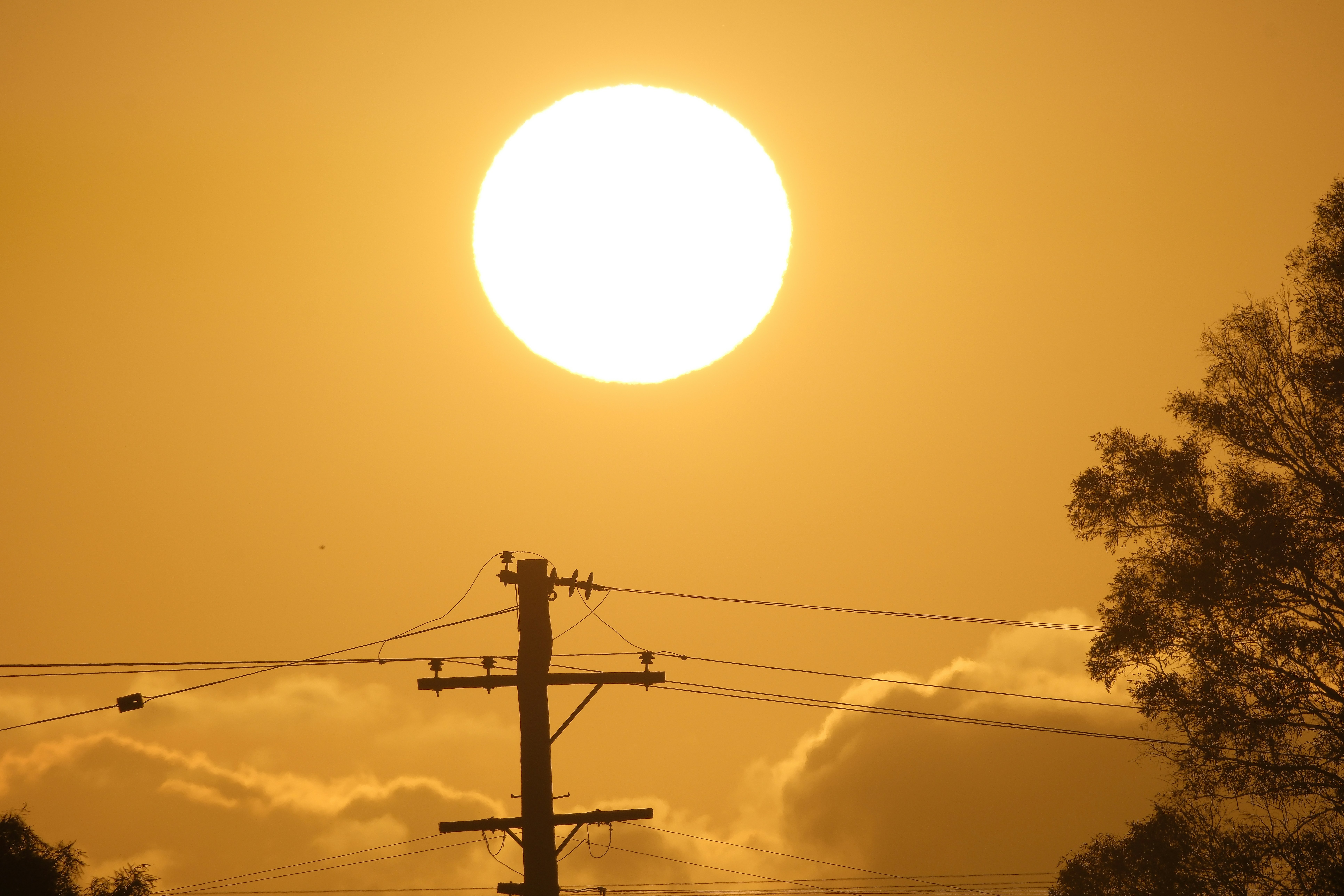 Sunset Gridlines: silhouette of utility pole under a pale giant sun