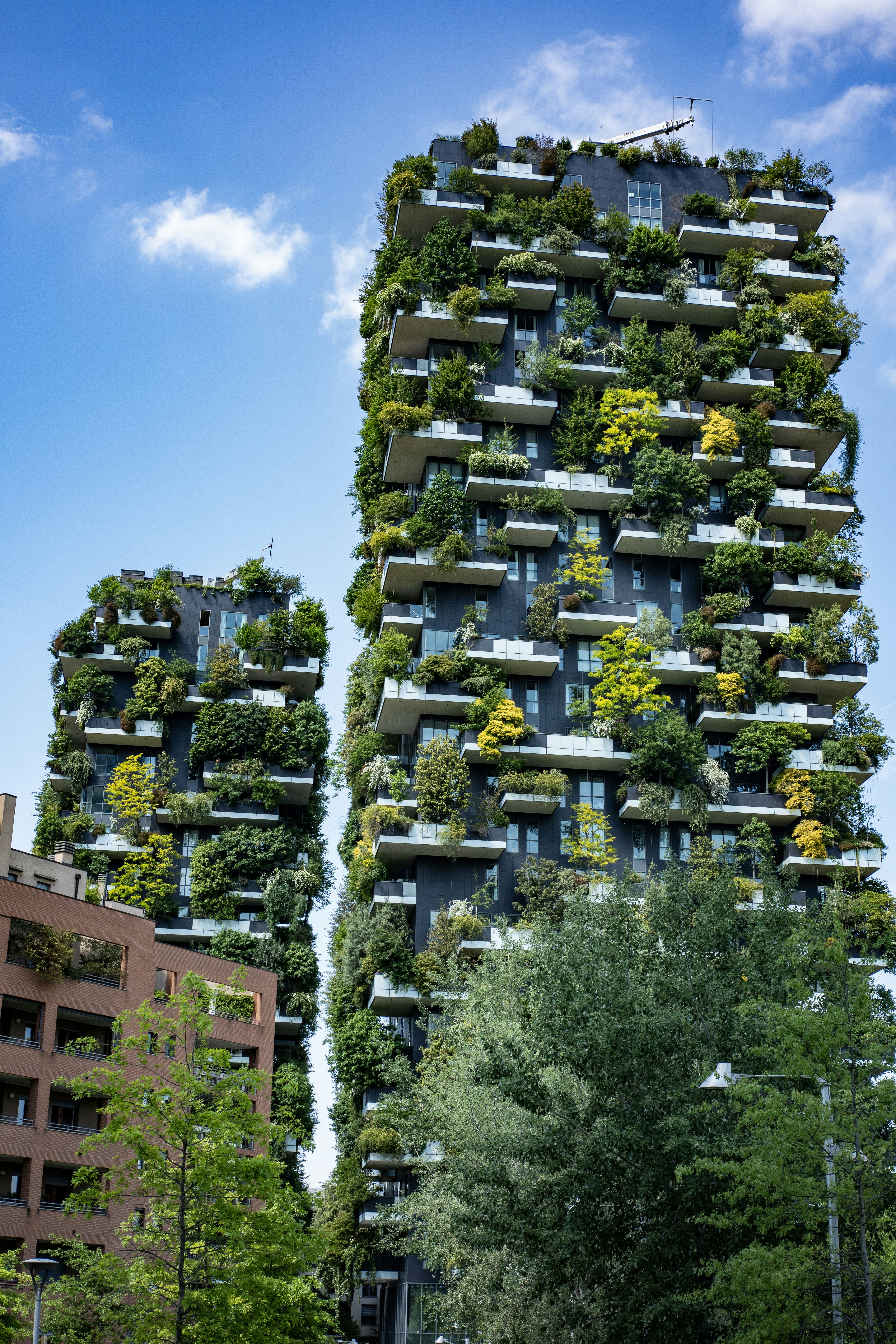 Vertical Forest Towers: Skyward Gardens Cloaked in Green