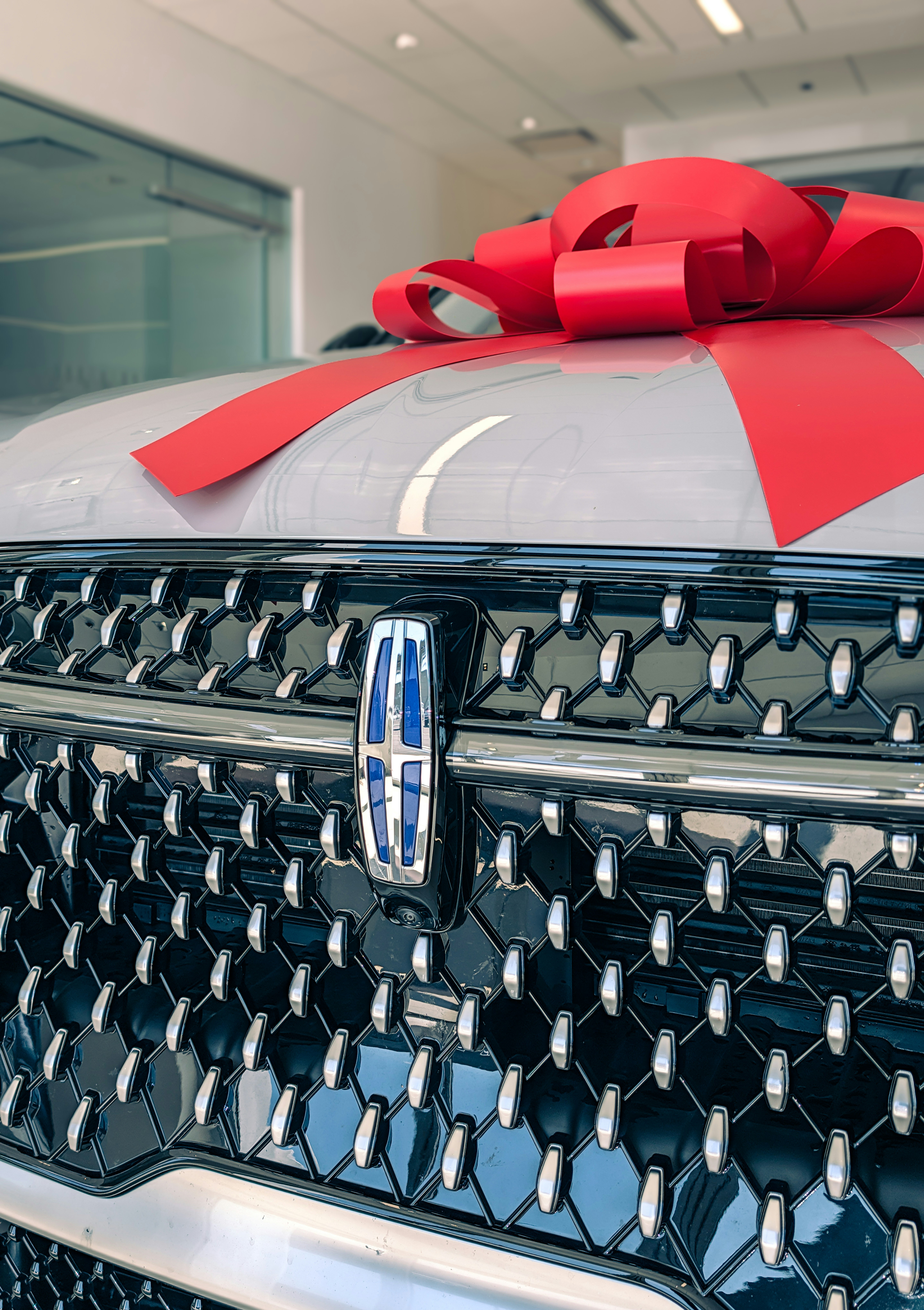 Gift-Wrapped Grille: A Luxurious Moment with a Crimson Bow