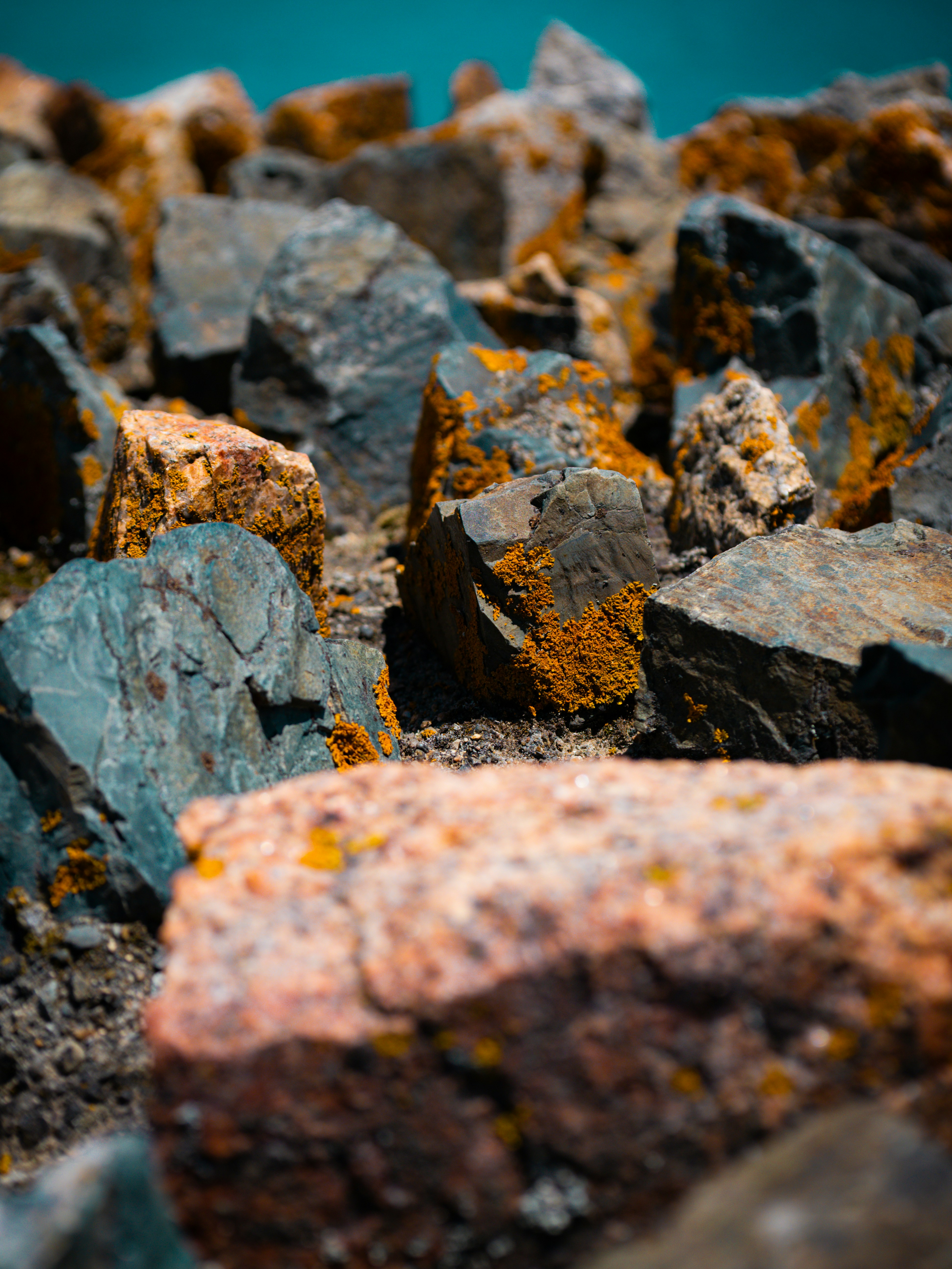 Rugged Shoreline Fragments: Oxidized Rocks in Quiet Light