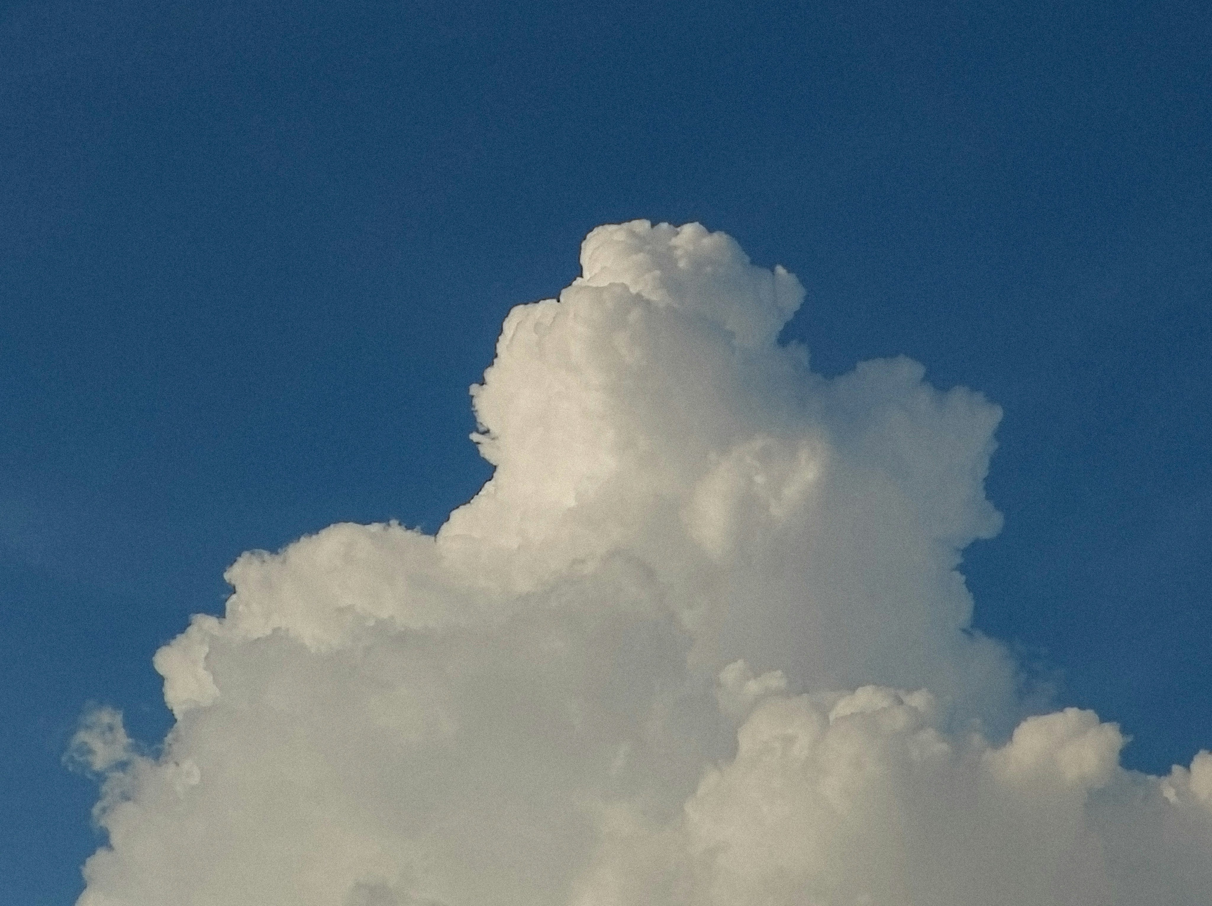 Bright cumulus cloud rising against a clear blue sky with soft, billowy edges. A minimal landscape focusing on cloud formation and expansive air.
