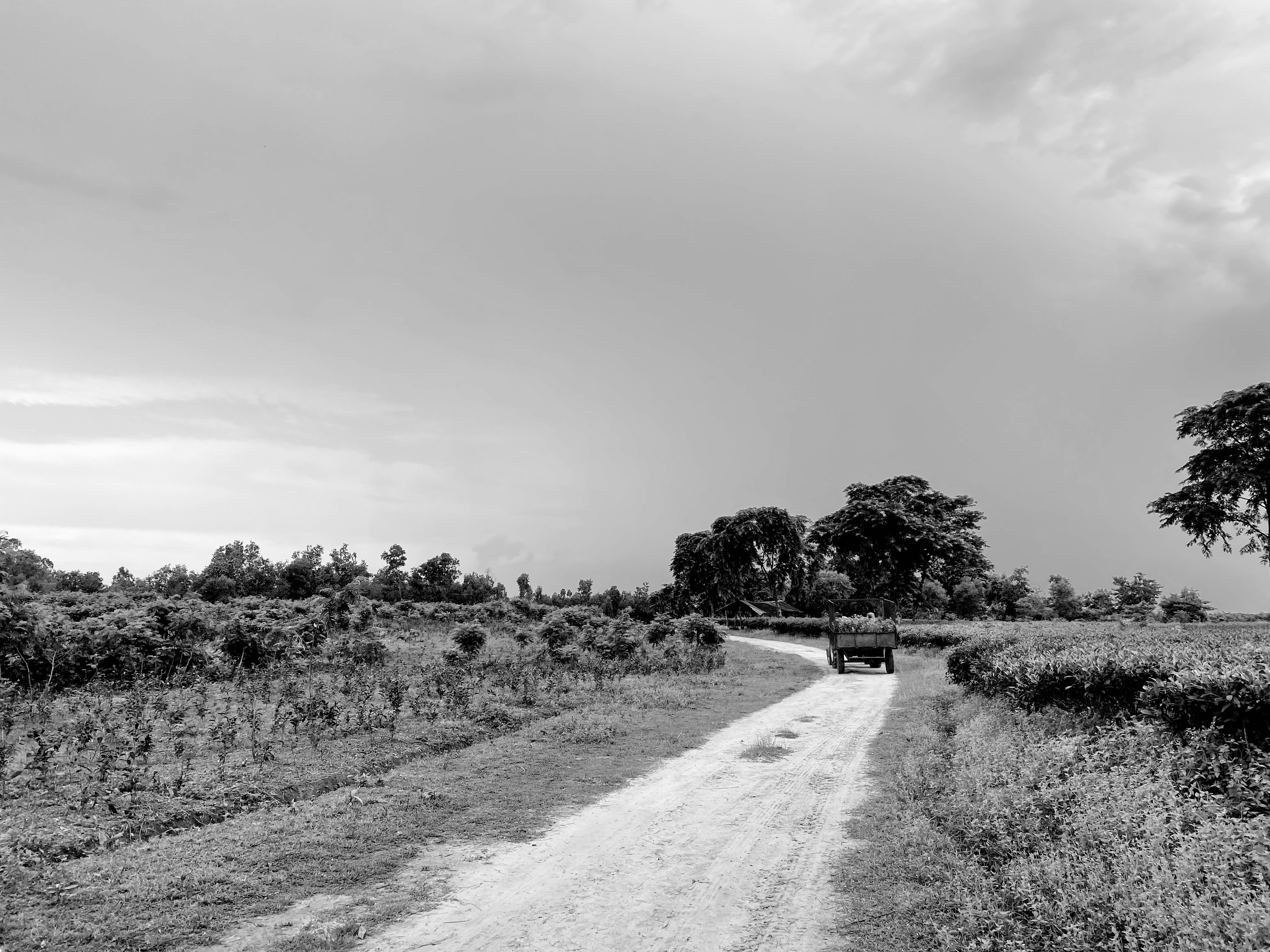 Dusty Road to Nowhere: A Lone Vehicle in a Prairie Track