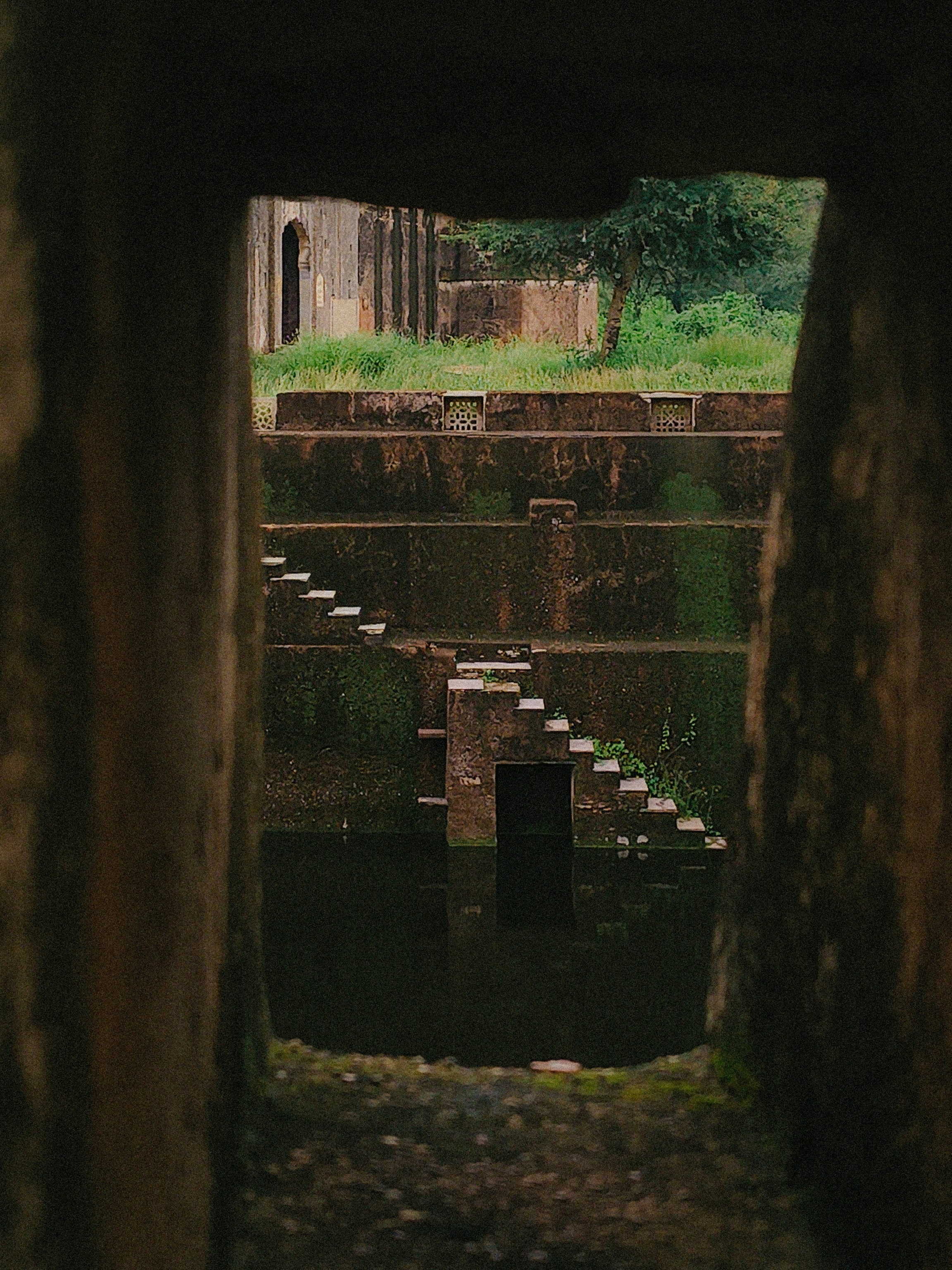 Echoes of a Hidden Stairwell: Moss-Cooled Steps Behind a Framed Gap