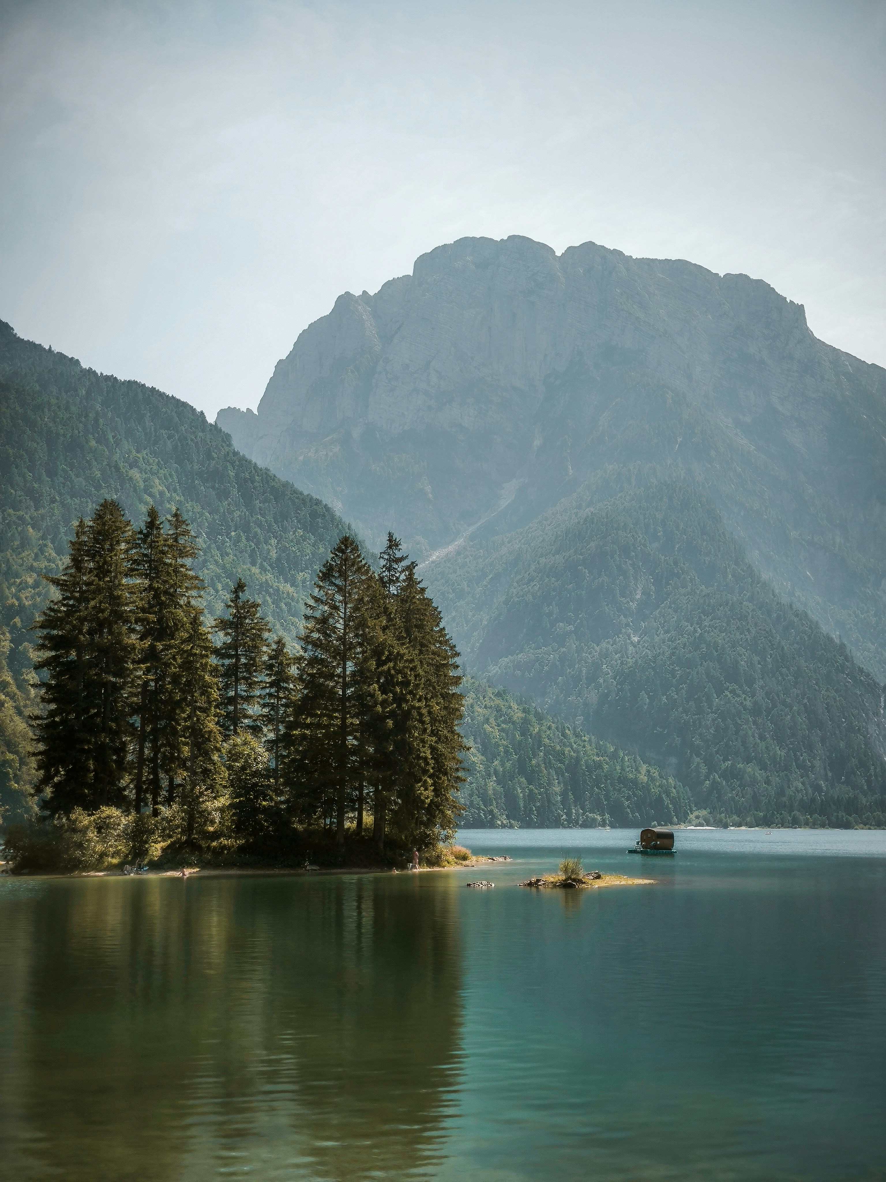 Island in the Mirror: Conifer Sentinels Guard a Mountain Lake