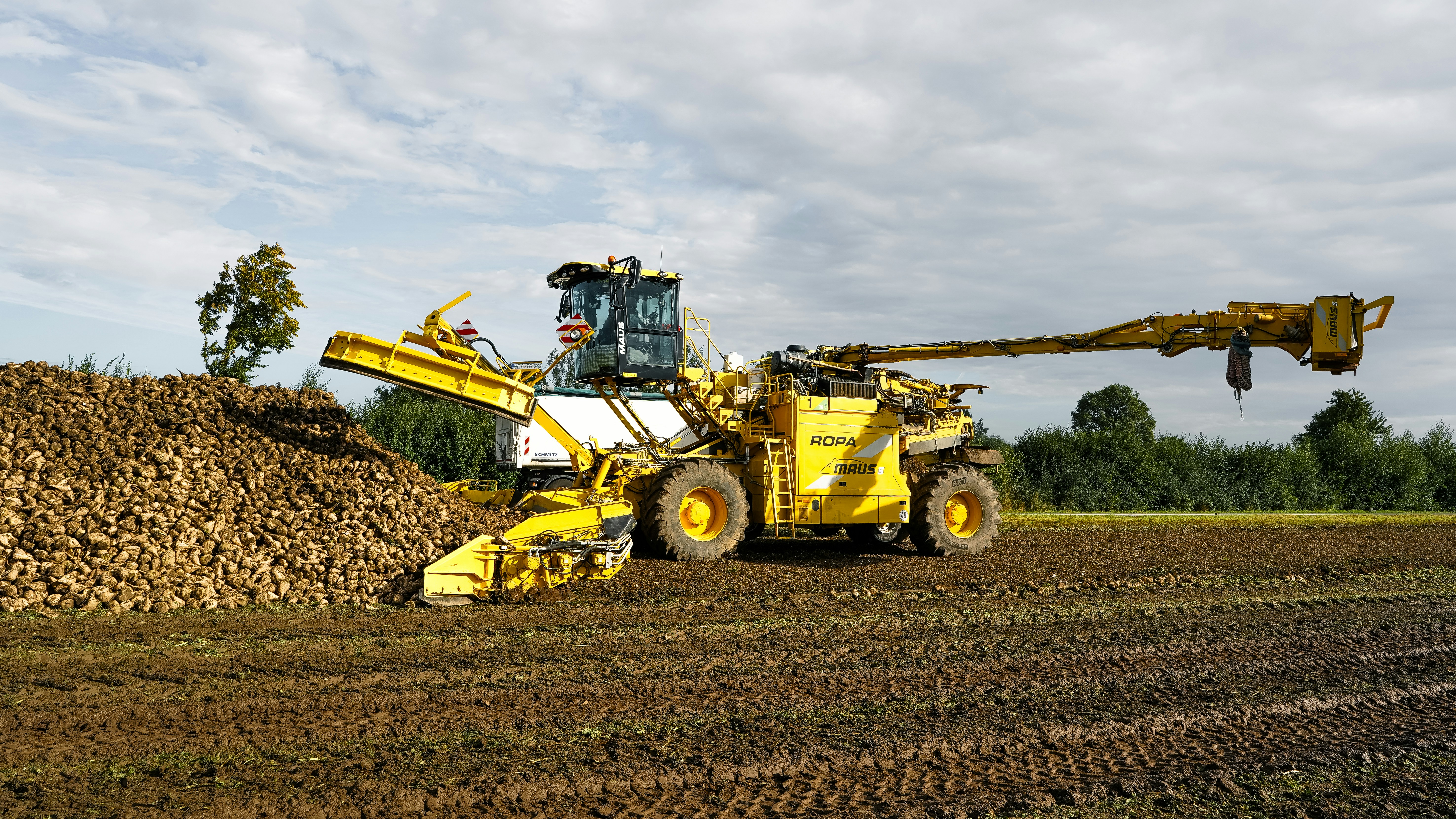 Harvest Machinery at Work: A Yellow Harvester Tends the Field