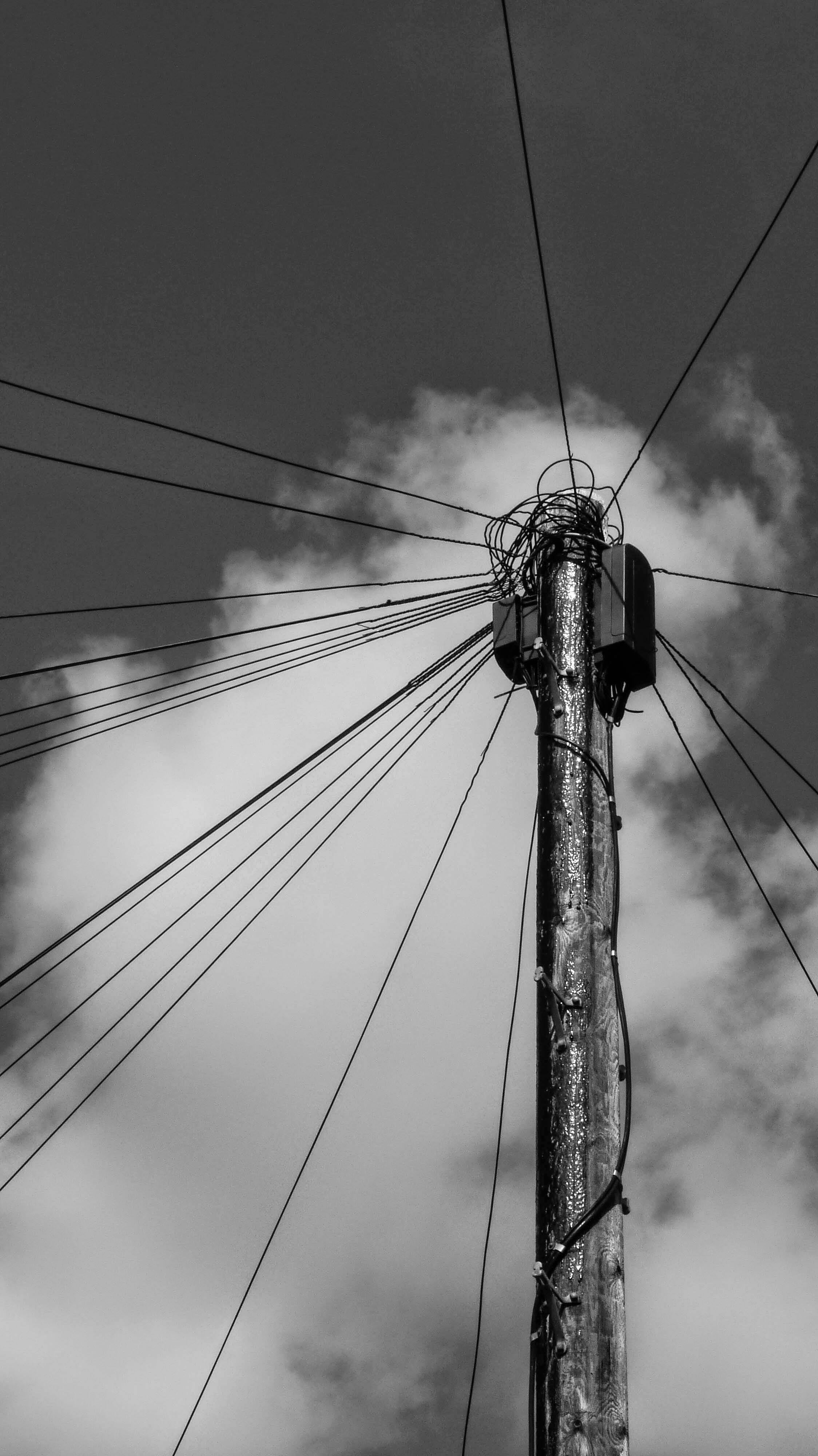 Cabled Conduit: A Tall Sentinel and Its Entangled Wires