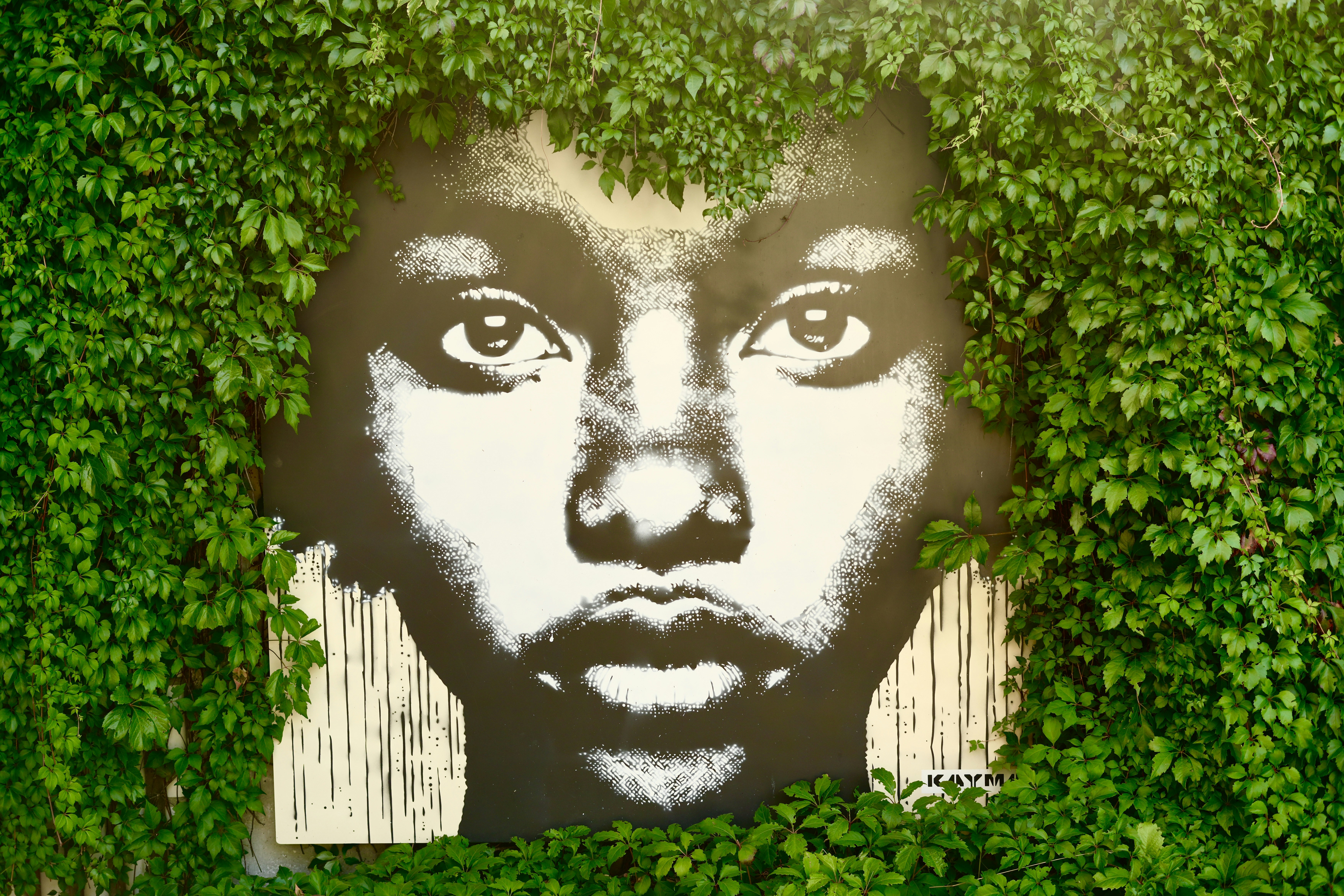 A black and white portrait mural of a person framed by green ivy