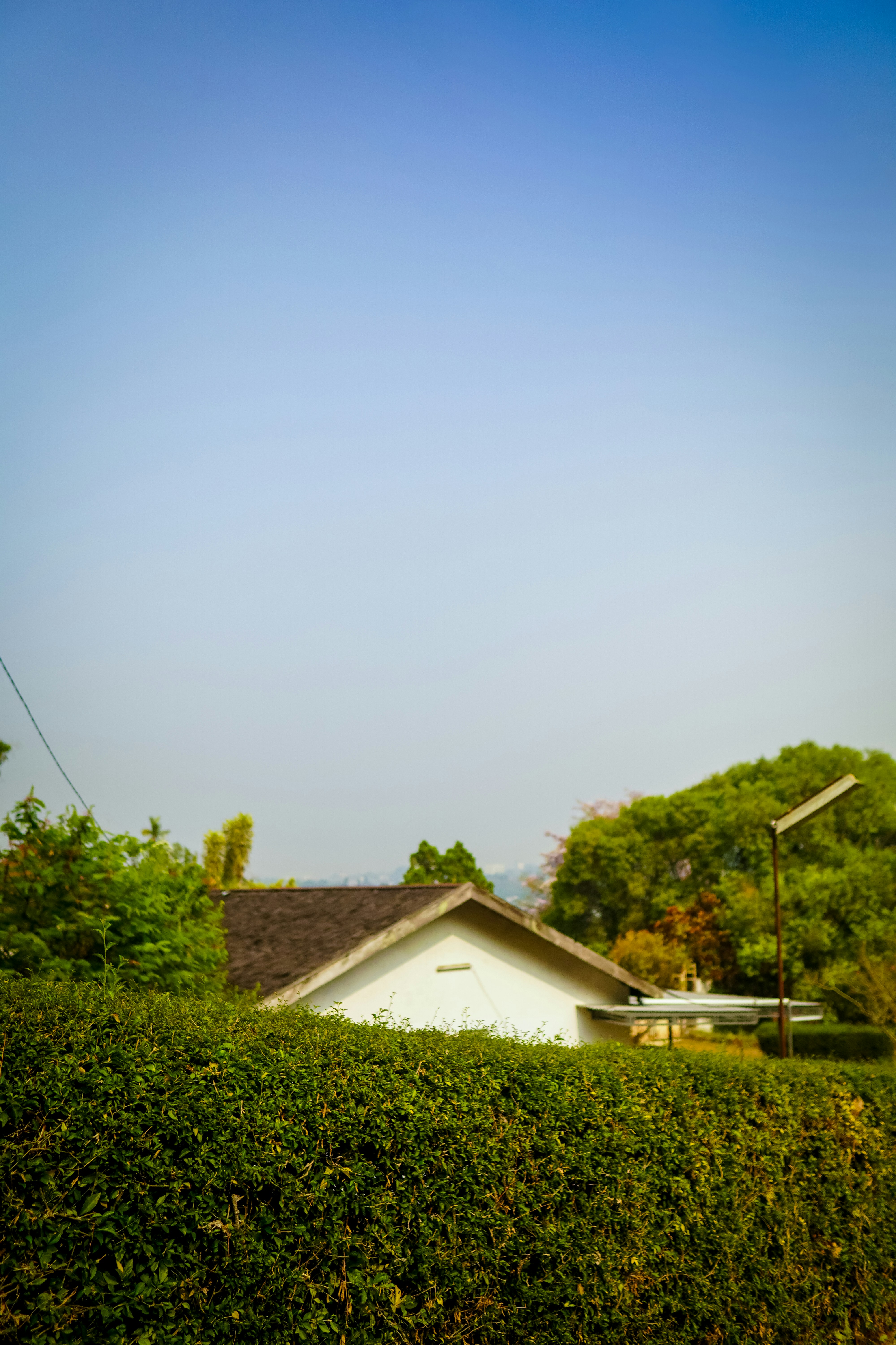 Hidden Cottage Veil: A Calm Suburban Horizon