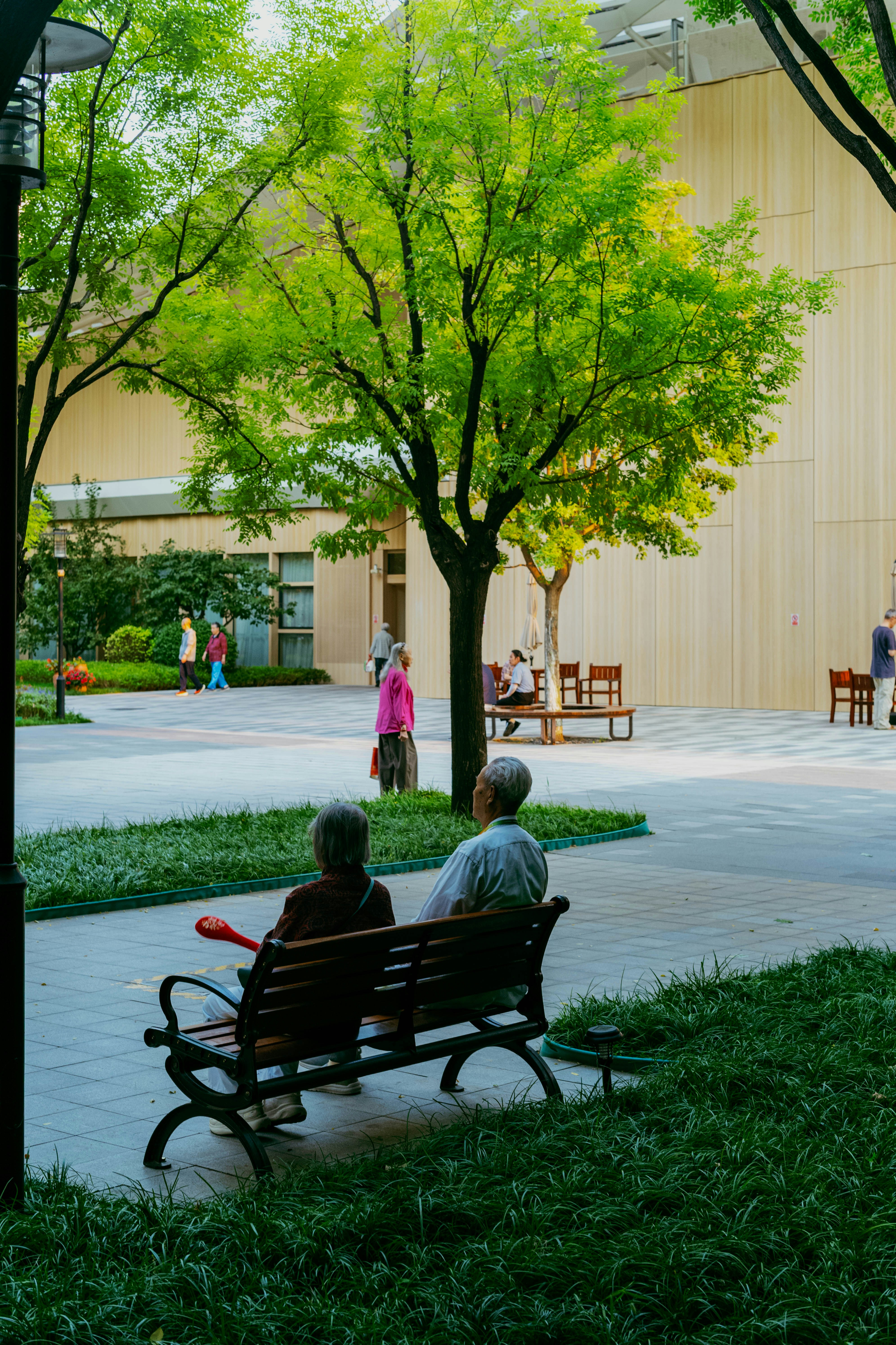 Senior couple sits on a wooden bench in a sunlit urban park as a tree-lined path and modern building backdrop create a peaceful, everyday moment.