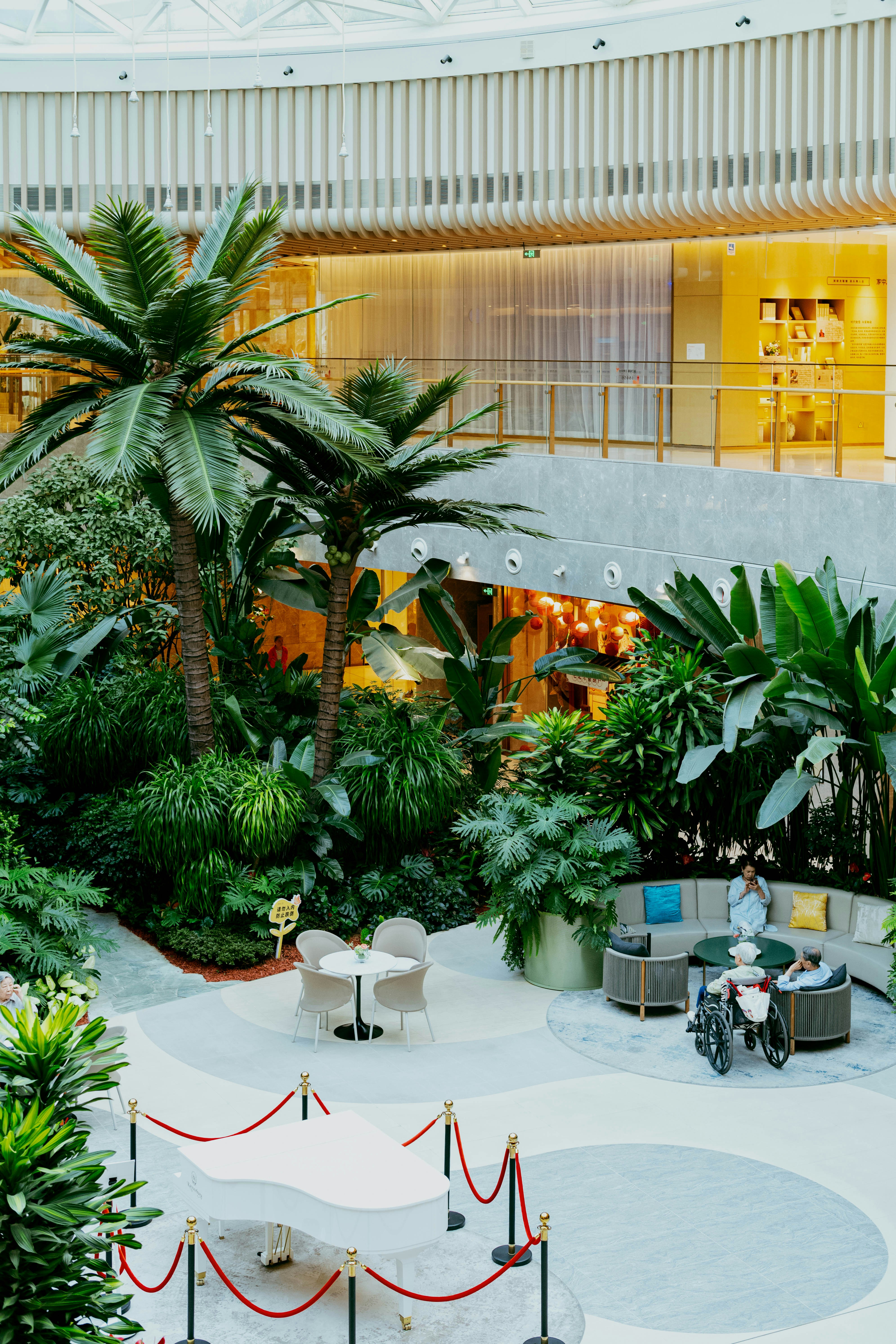 Indoor garden atrium with tropical plants and seating in a modern, open space.