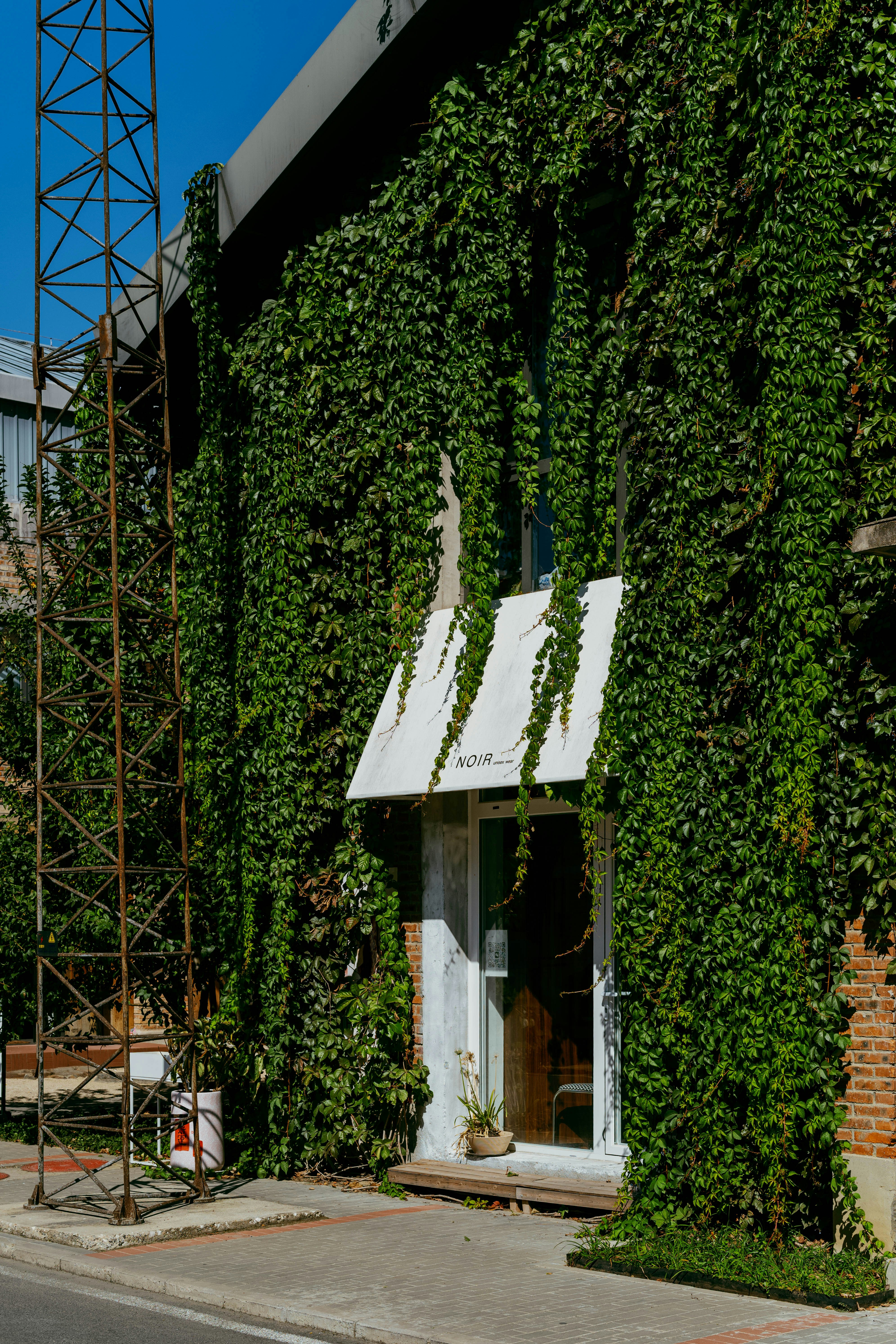 Green Velvet Facade: Ivy-Draped Shopfront on a Quiet Street