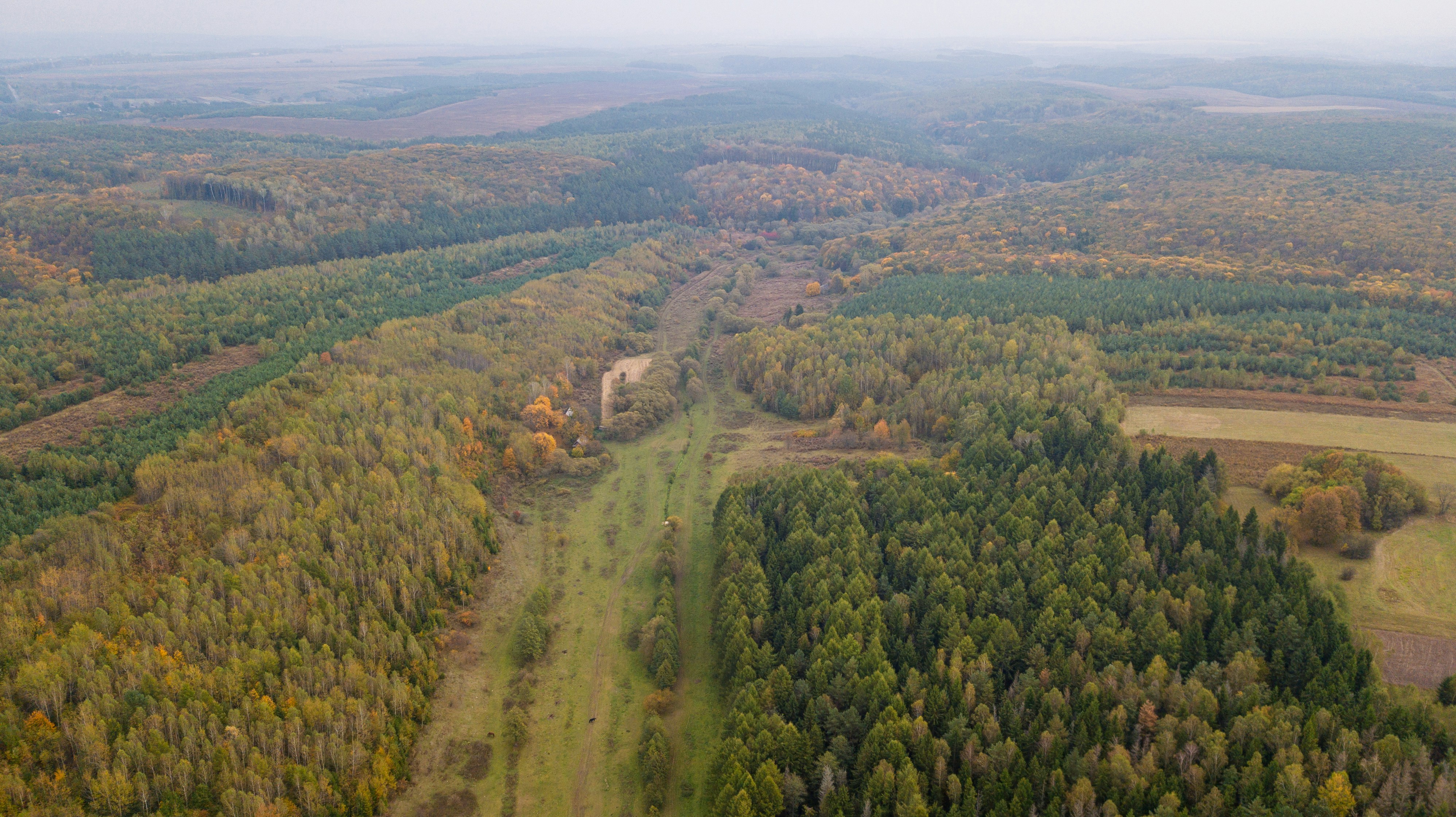Fallen leaves and mixed woodlands line a central clear-cut corridor seen from above, with patchwork fields beyond and a winding path. Aerial landscape highlighting seasonal color and distant horizons.