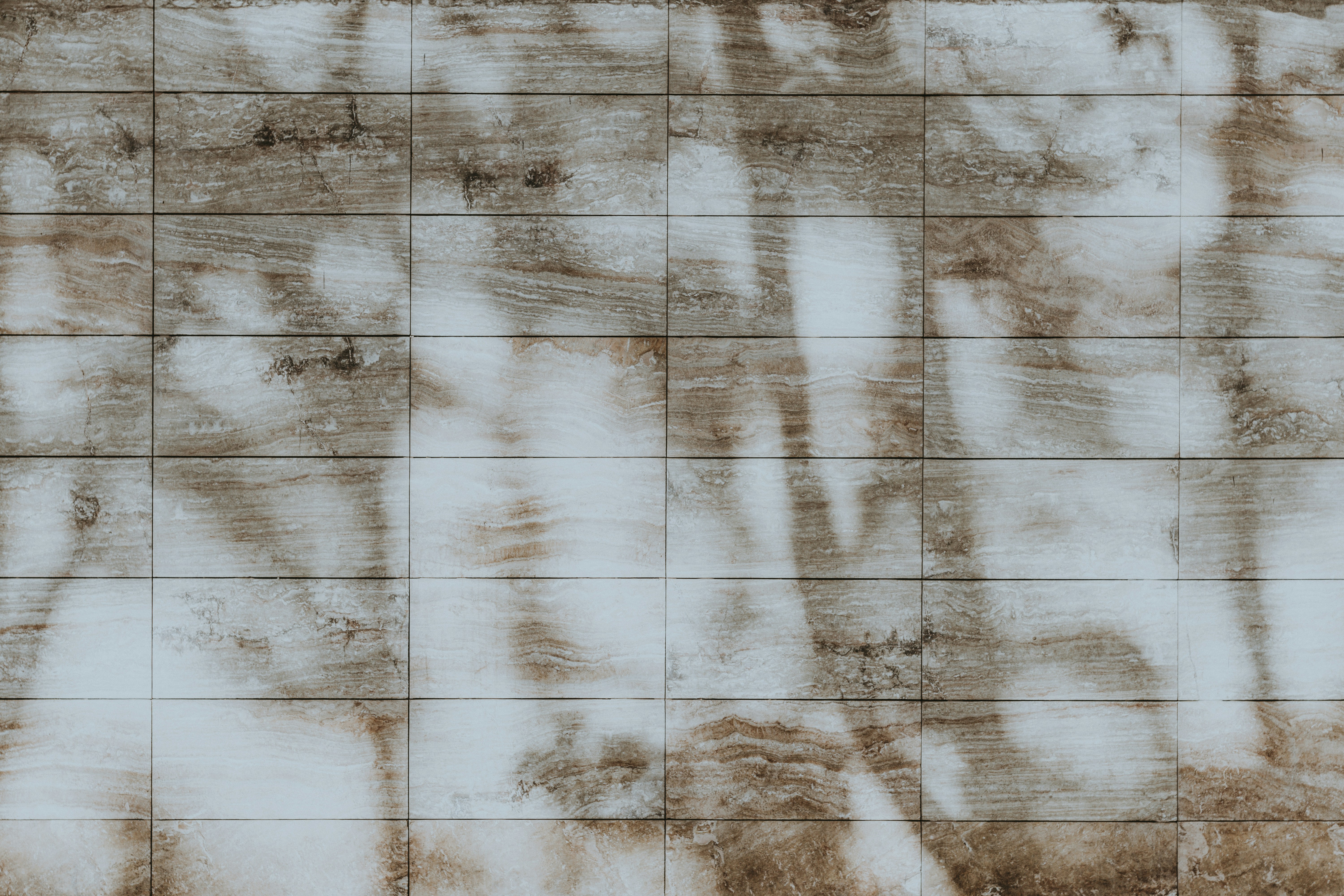 Monochrome Gridscape: Weathered Tiles in Soft Light