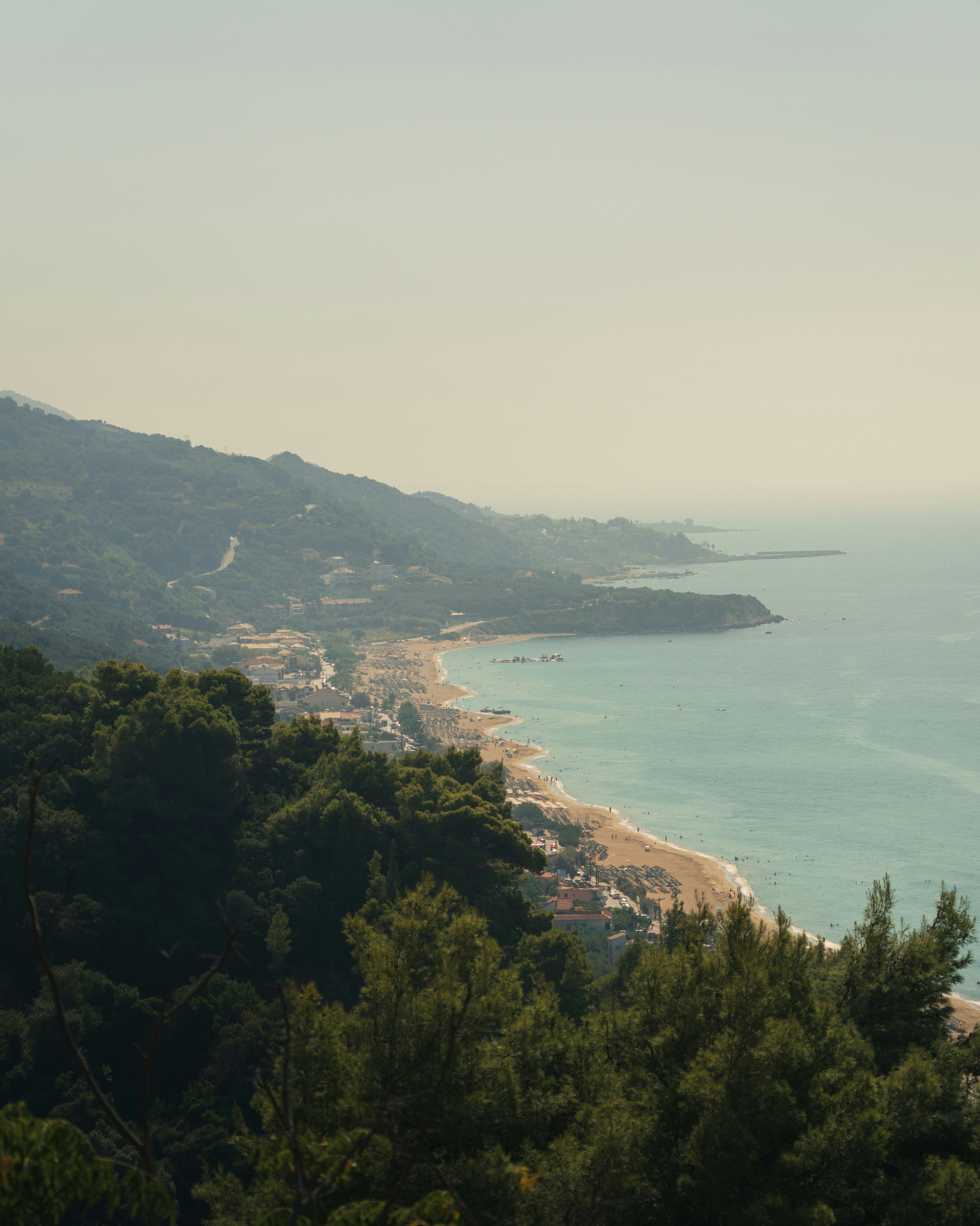 Sunlit Coastal Ridge: A Quiet Sea Stretch Beneath Pine Cliffs