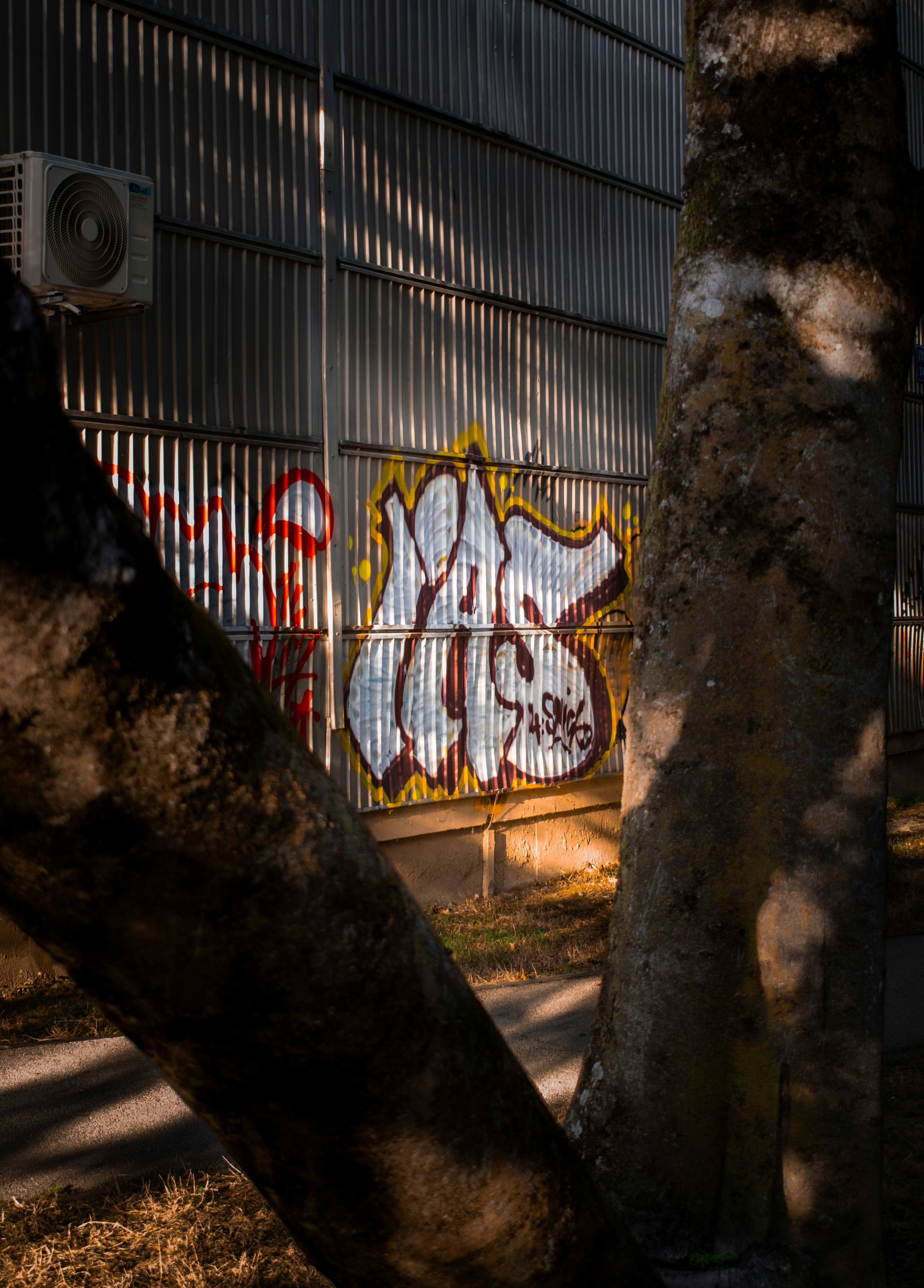 Graffiti Glow Between Tree Trunks