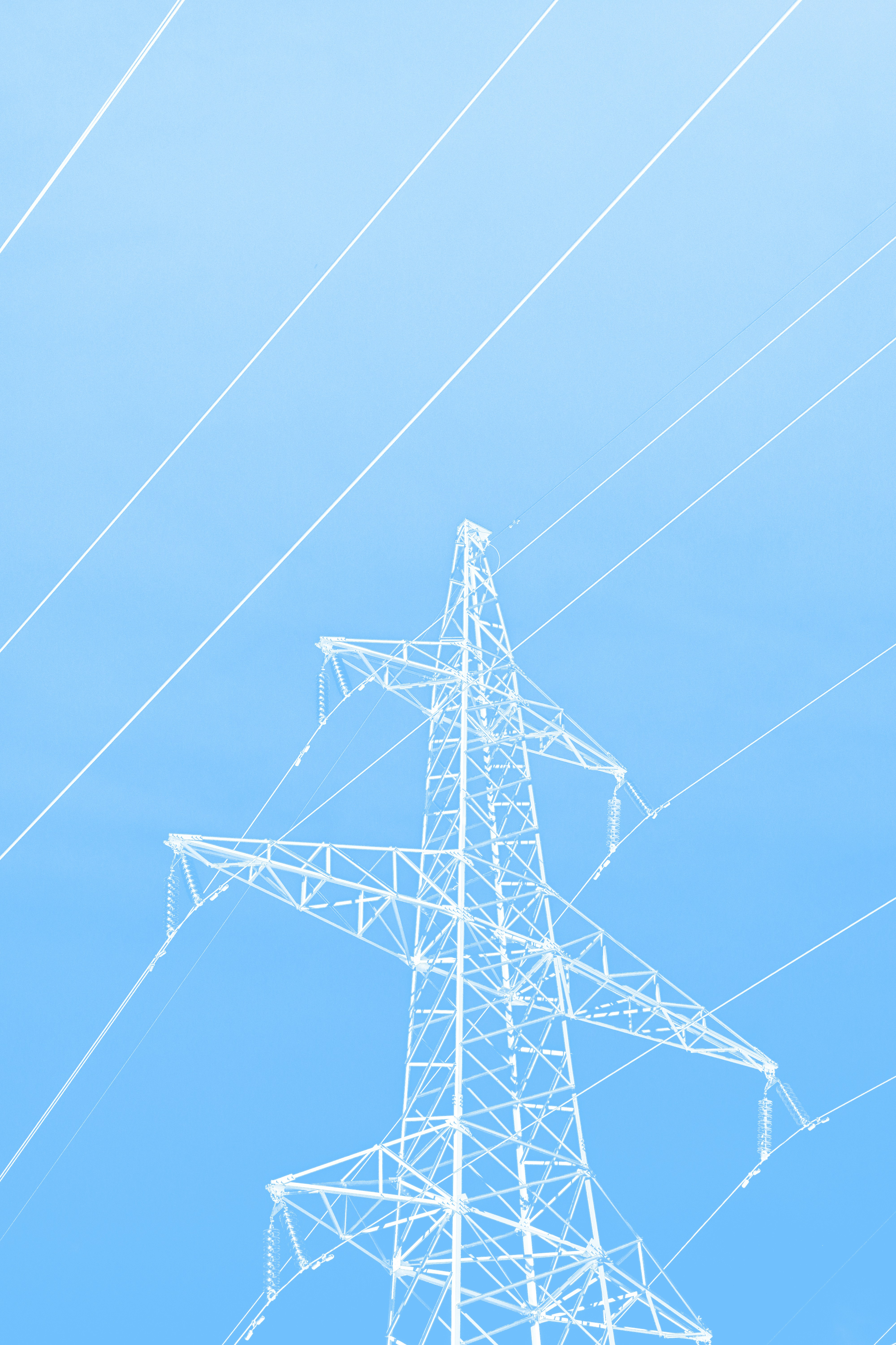 Pulse of the Sky: An Arching Lattice Against a Clear Blue