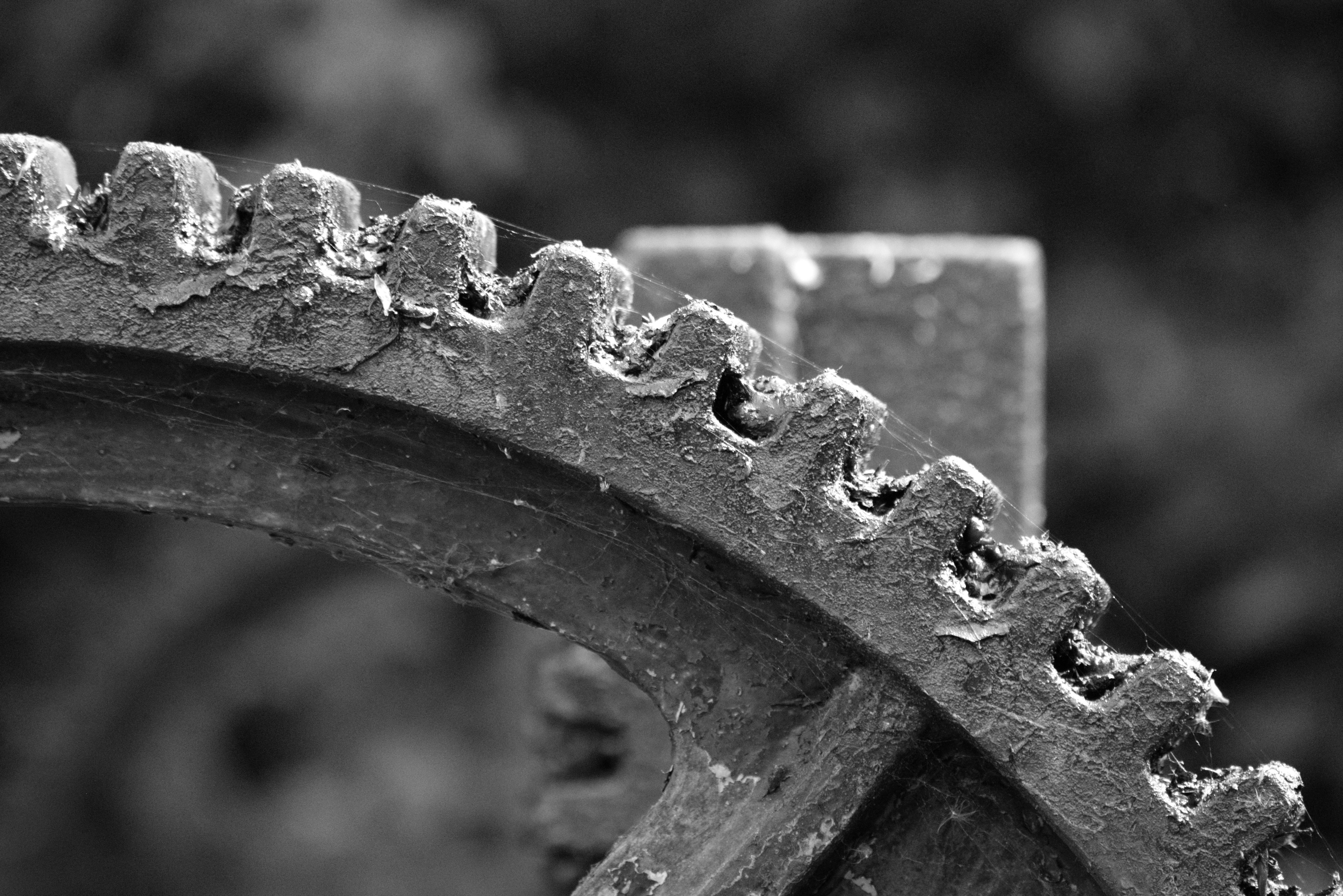 Gears in Focus: A Close-Up of Time-Worn Teeth