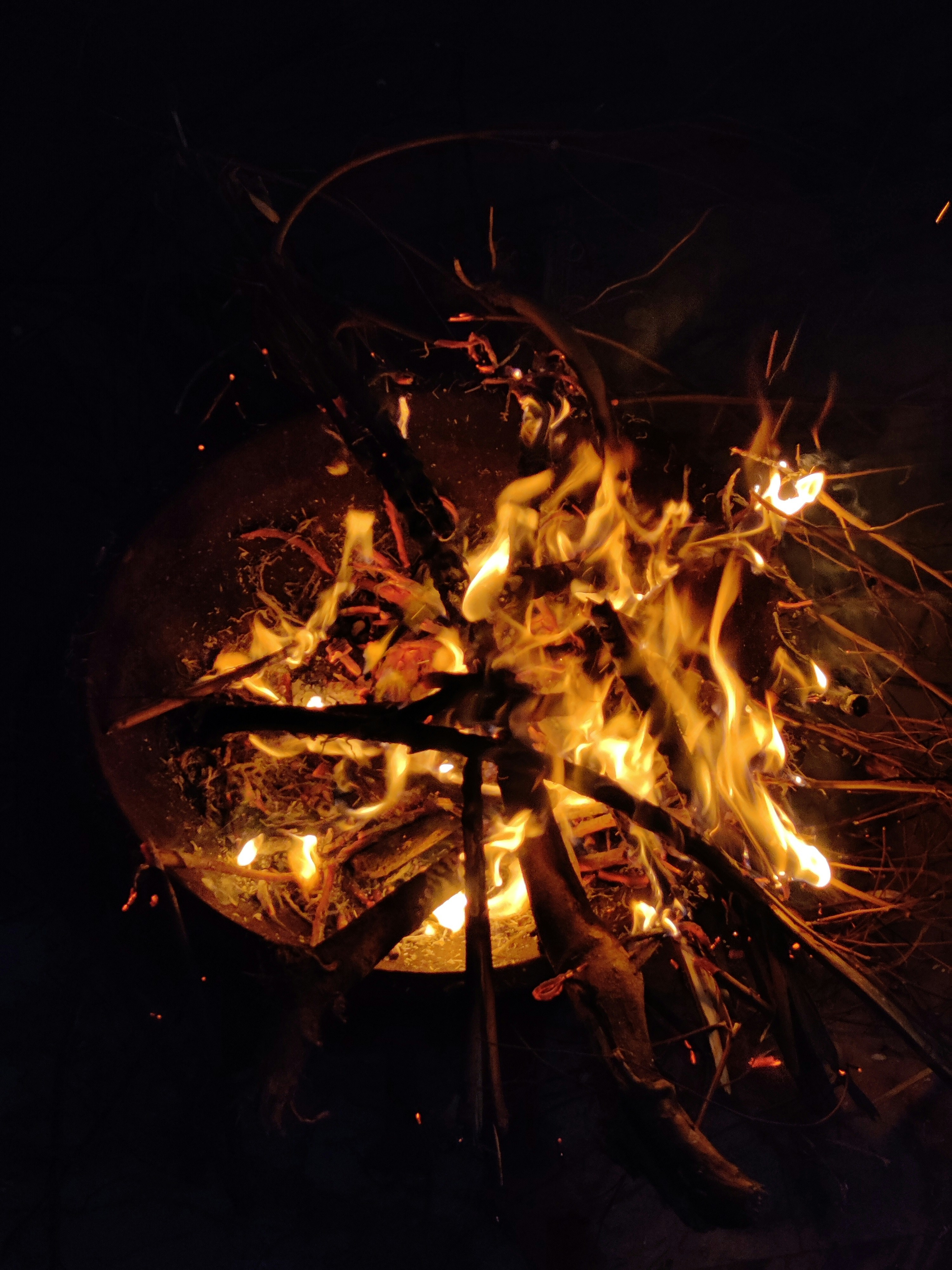 Embers in the Dark: A Firelit Circle of Logs