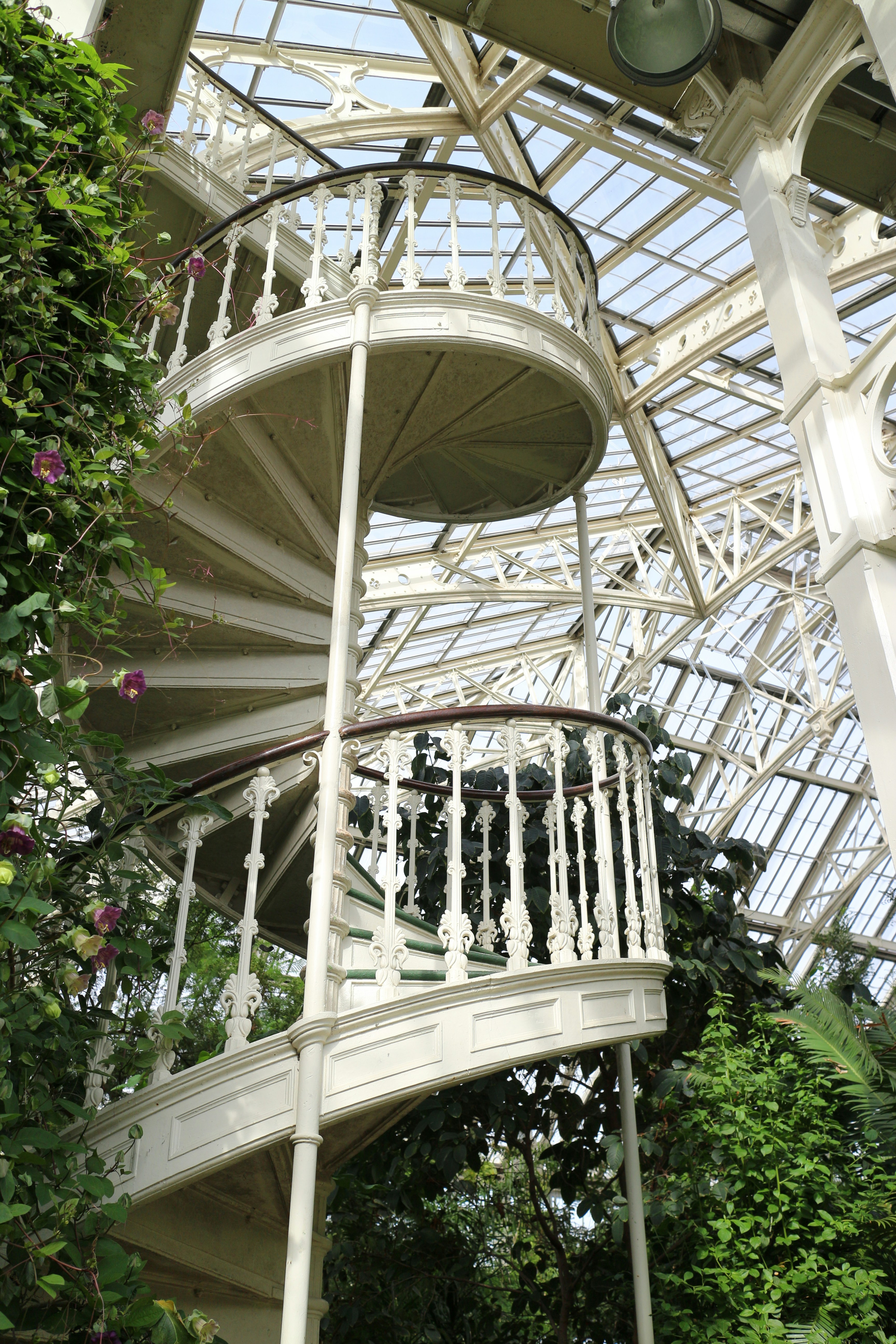 Spiral Staircase in a Glass Conservatory