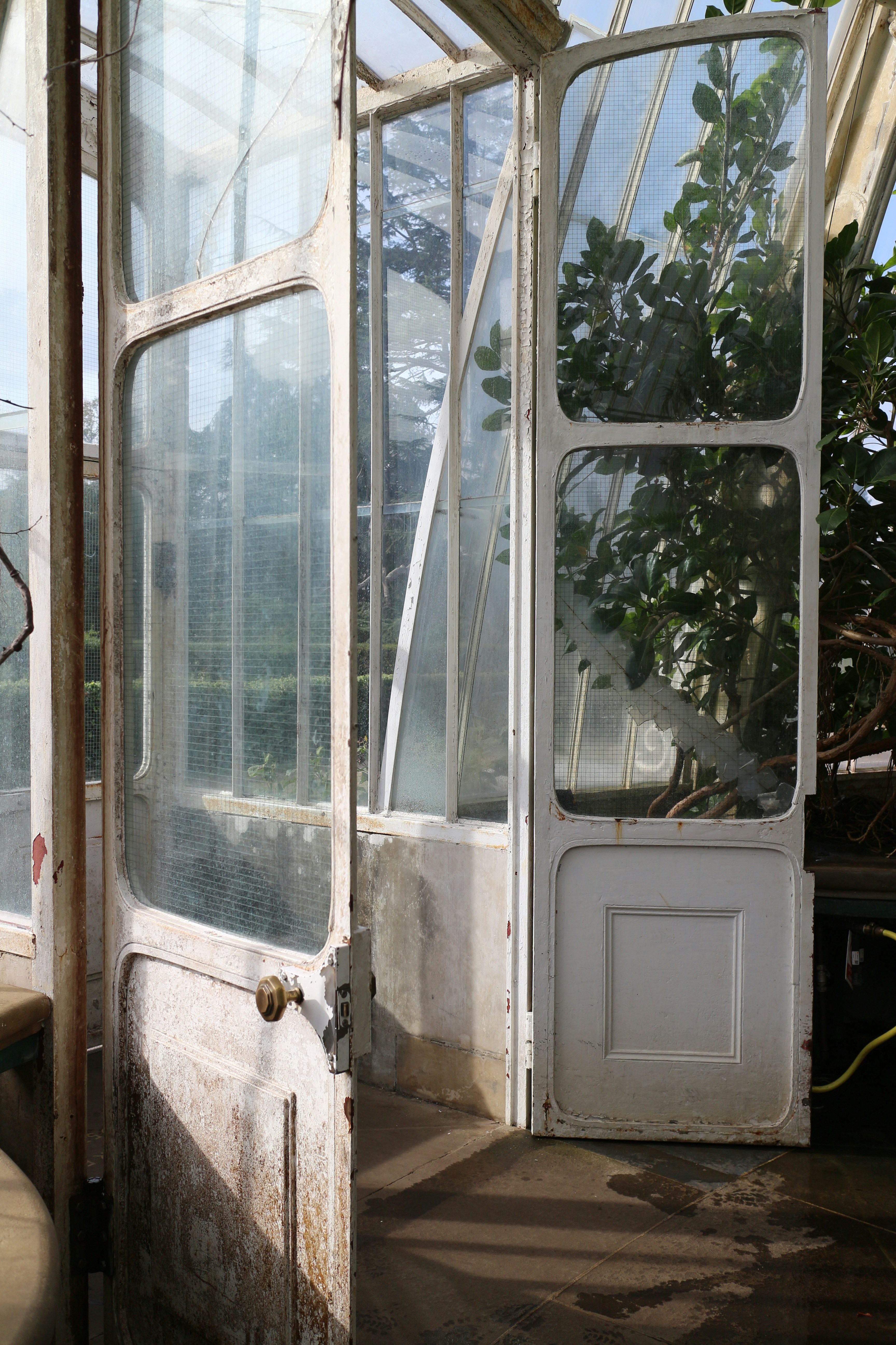 Rust and Glass: A Doorway to an Overgrown Conservatory