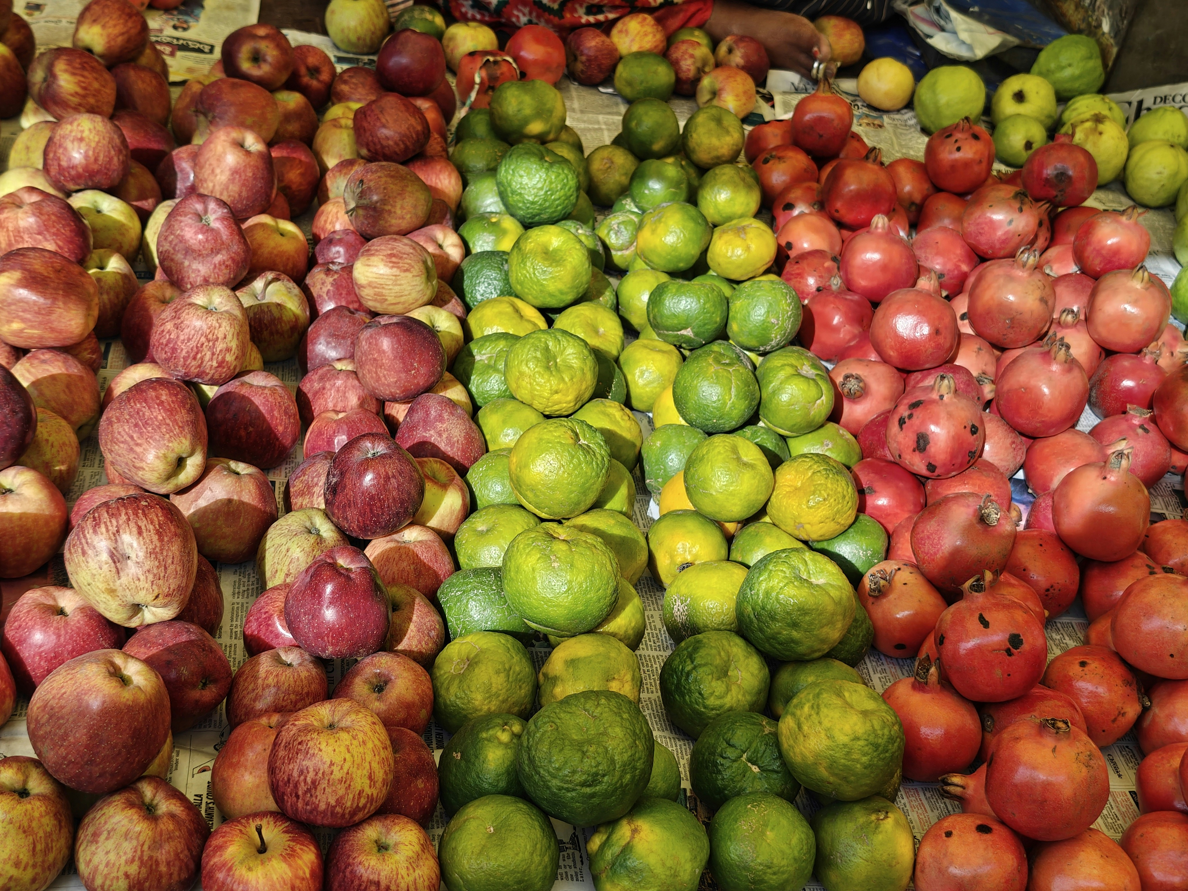 Rows of Crisp Apples, Limes, and Melon-Tinted Orbs in a Market Stand