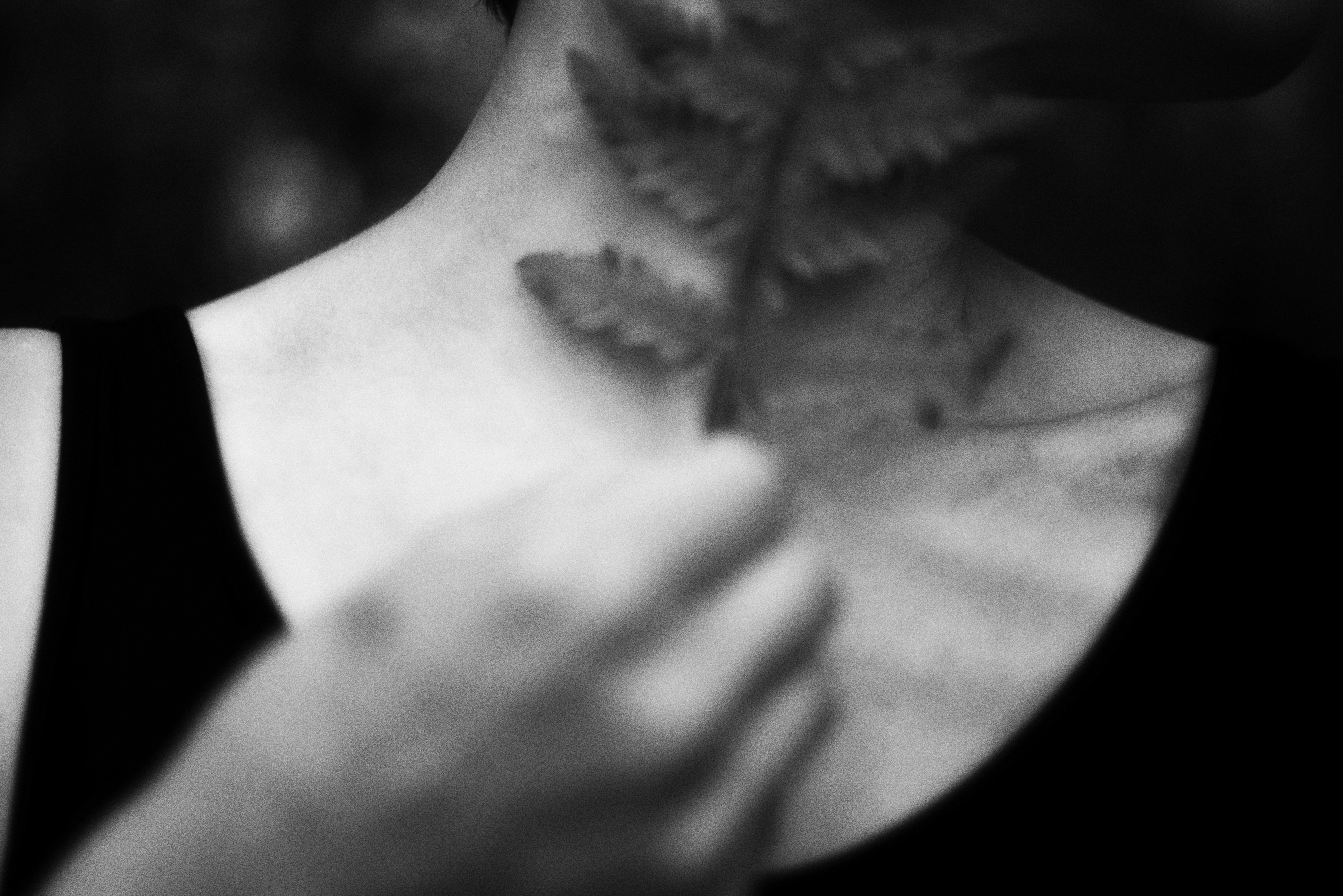 Veiled Portrait: A Leaf and Quiet Neckline