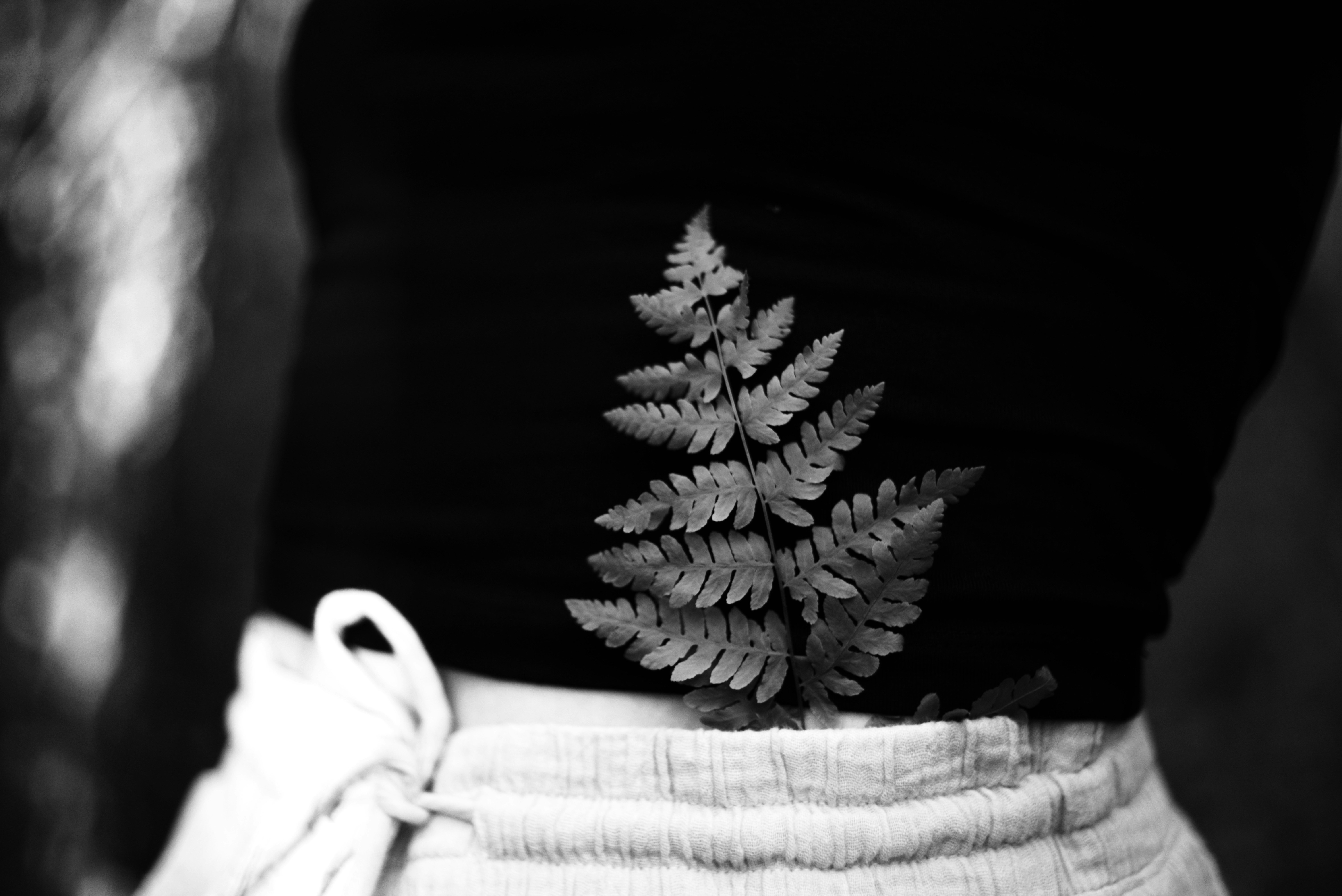 Fern Crowned at Waist: A Monochrome Portrait of Hidden Life