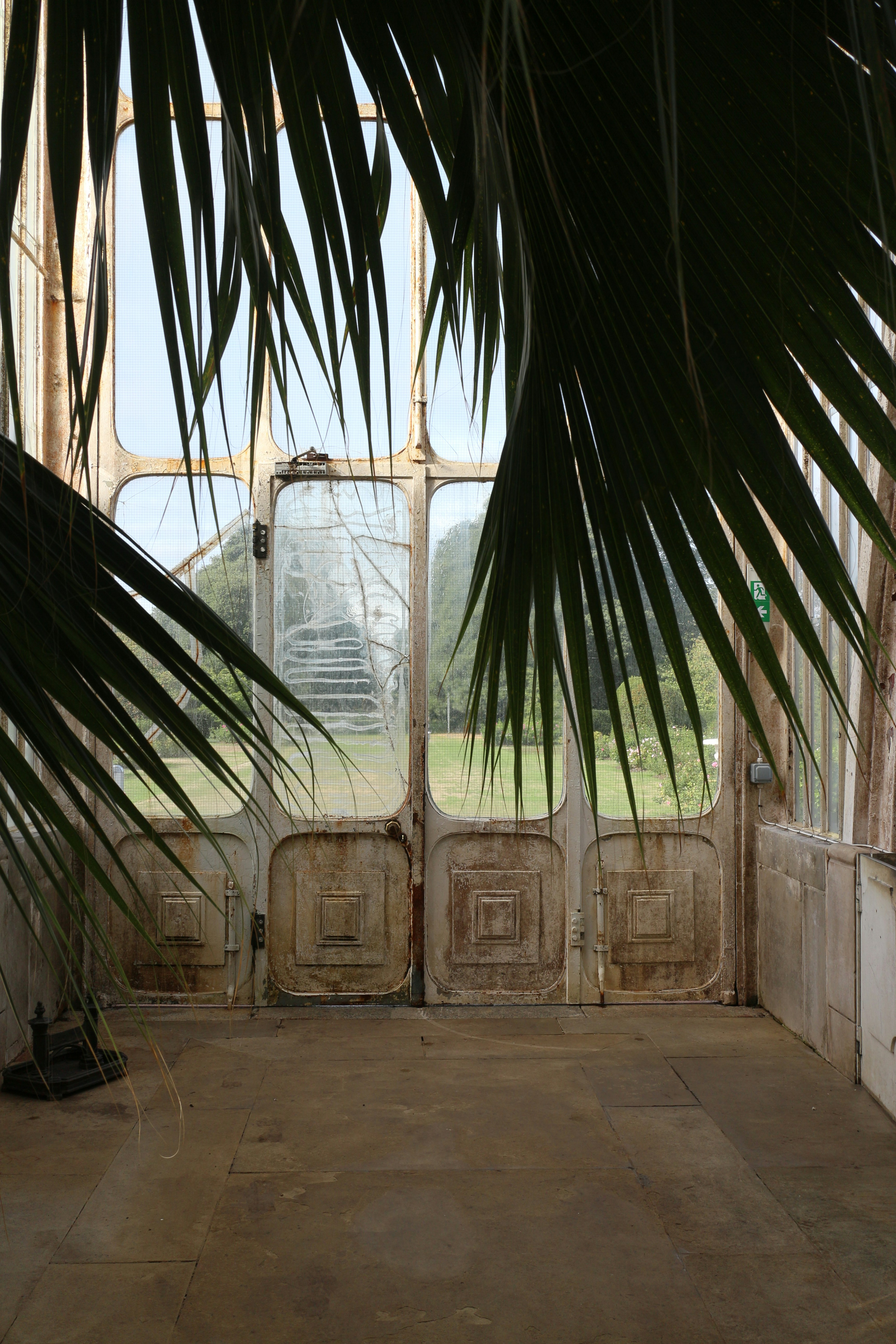 Overgrowth Through Glass: A Verdant Framing of the Conservatory Doorway