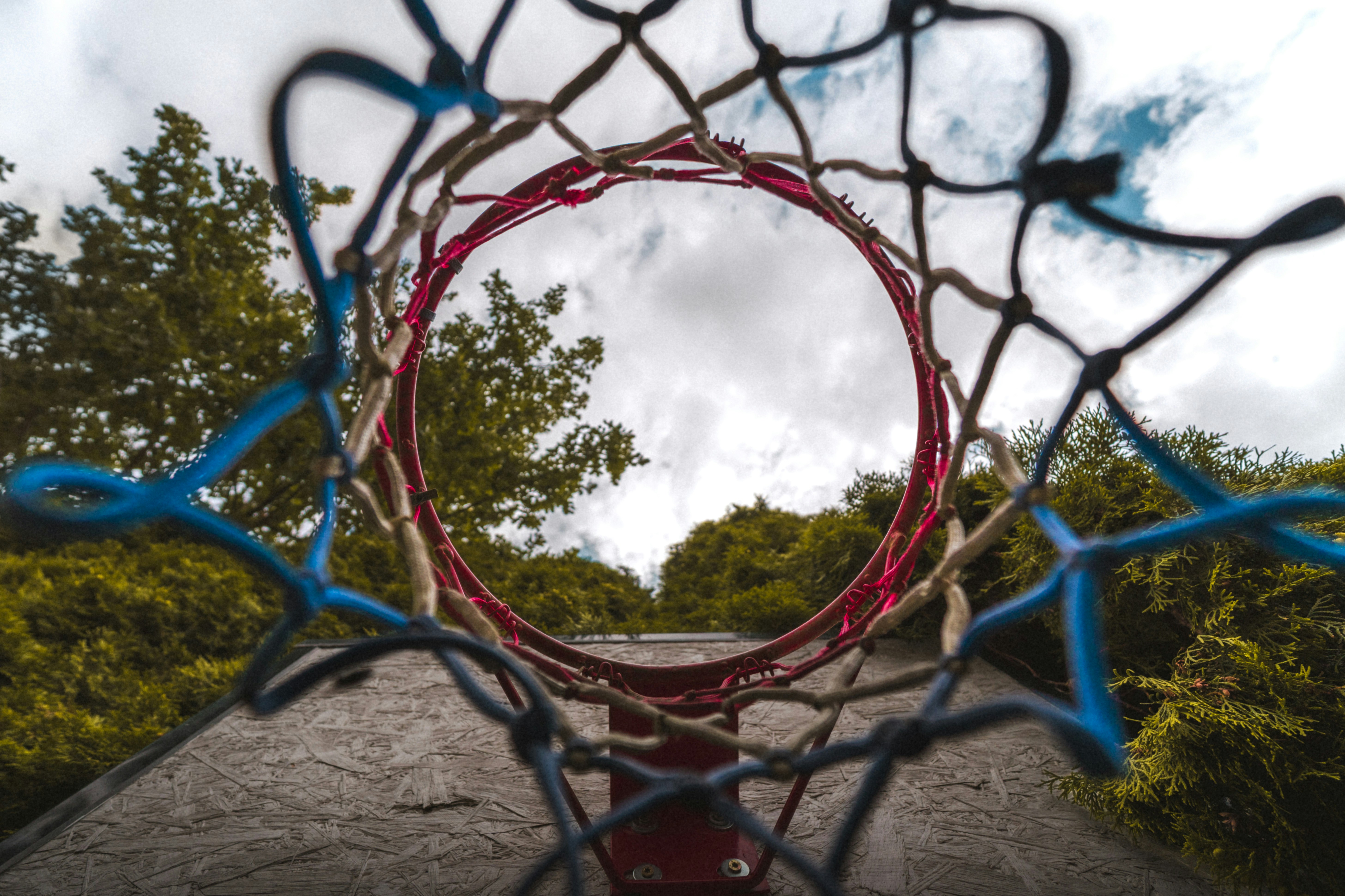 Through the Ring: A Ground-Up View of the Hoop’s Circle