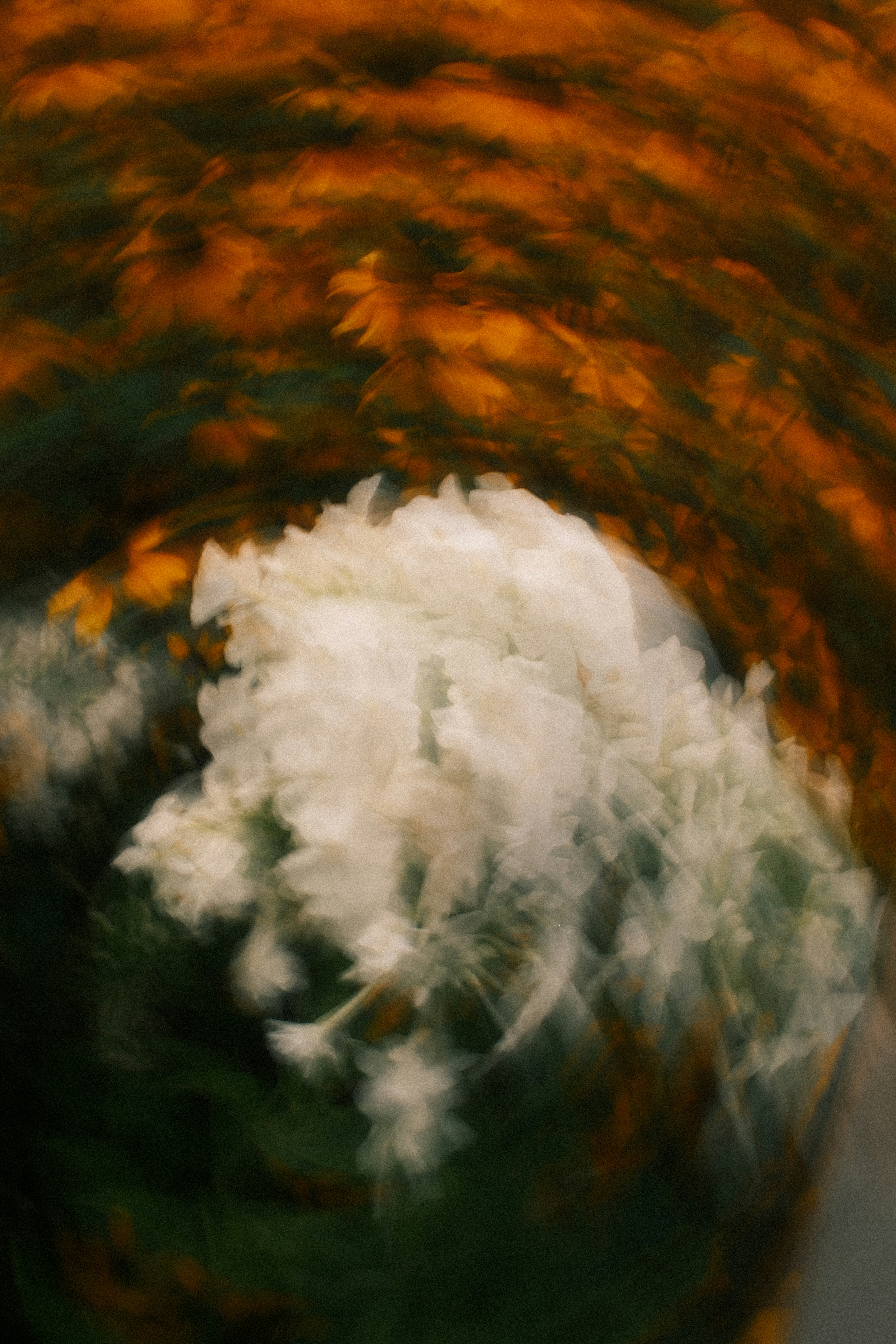 Swirls of Autumn Bloom: A Portrait in Motion