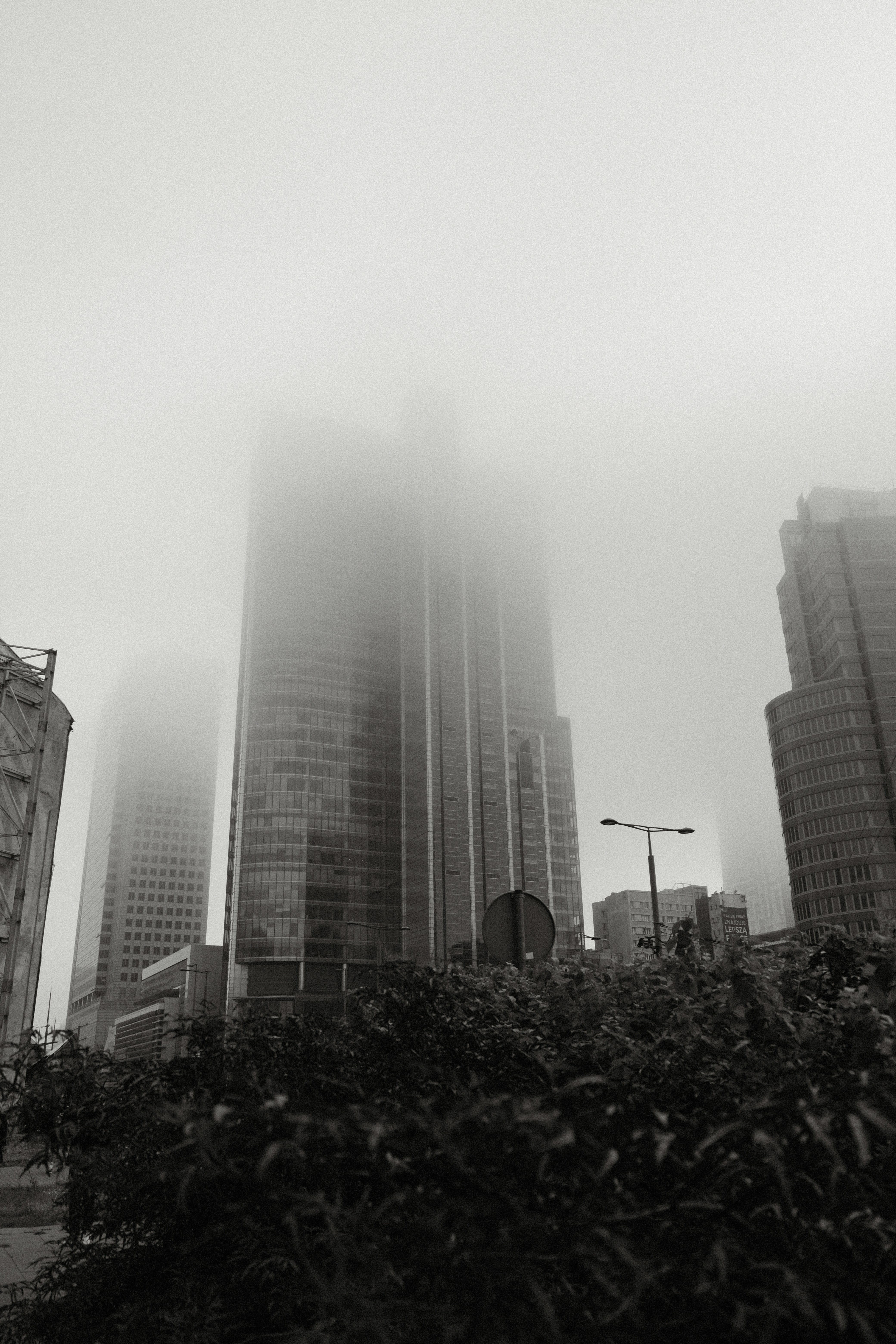 Fog-Blanked Skyscrapers Rising from the City Edge